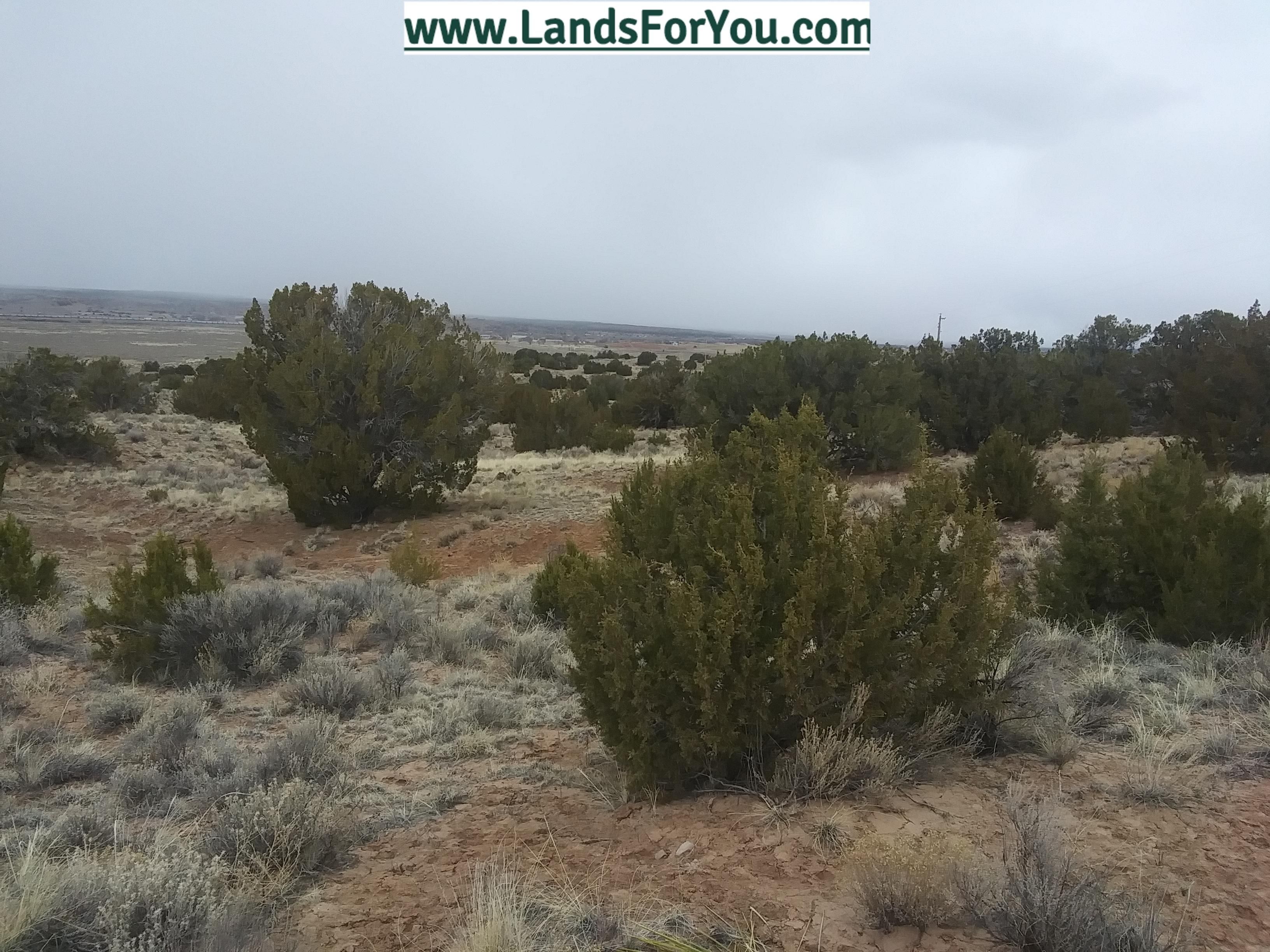 1.88 acres in Sanders, AZ, 86512 | LandWatch