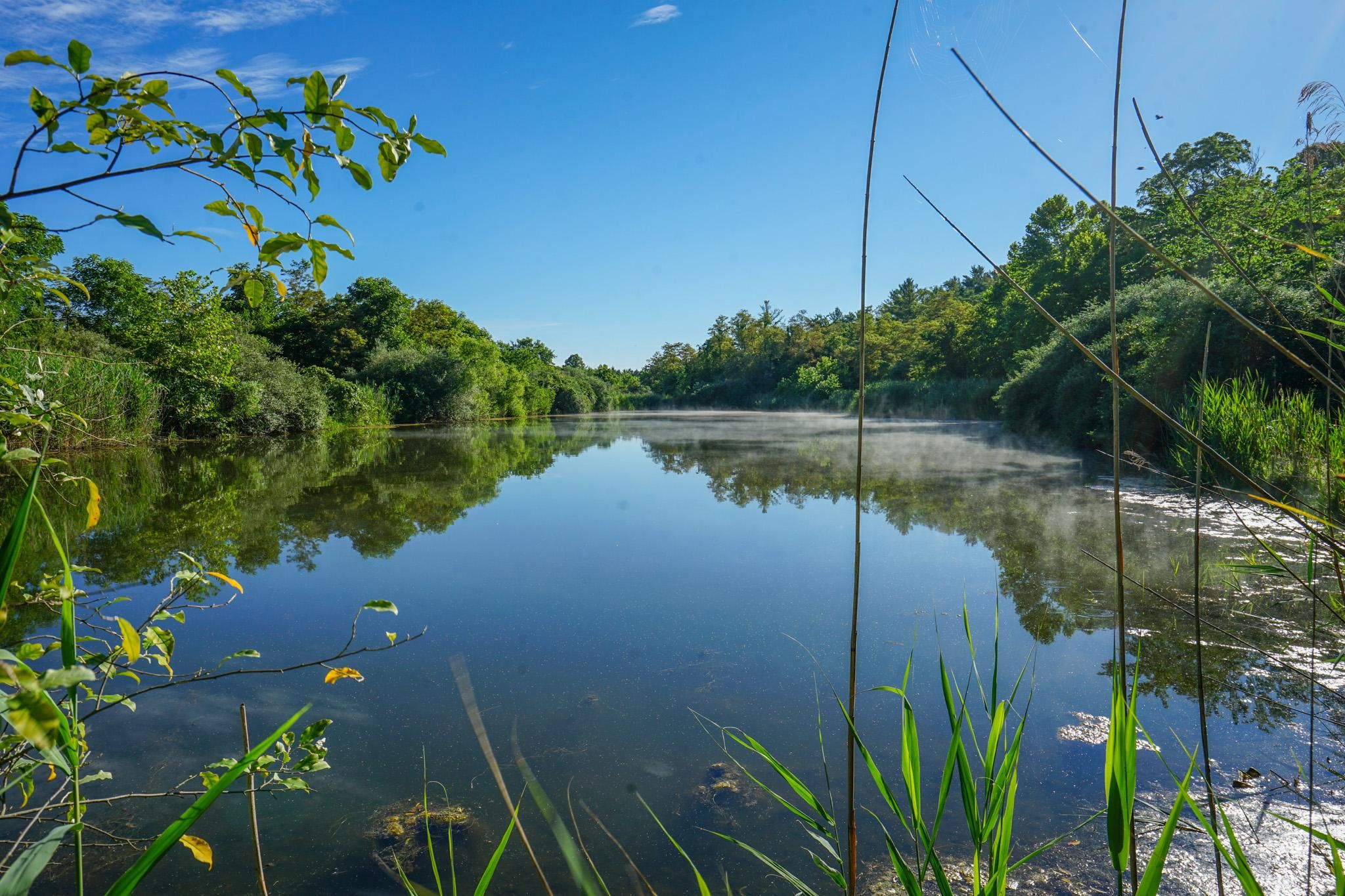 77000 Hawthorne Road, Cadiz, OH 43907 | LandWatch