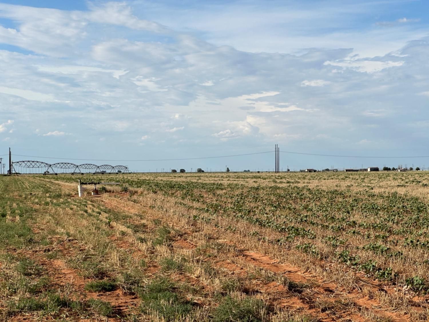 Tiger, Ropesville, TX 79358 | LandWatch
