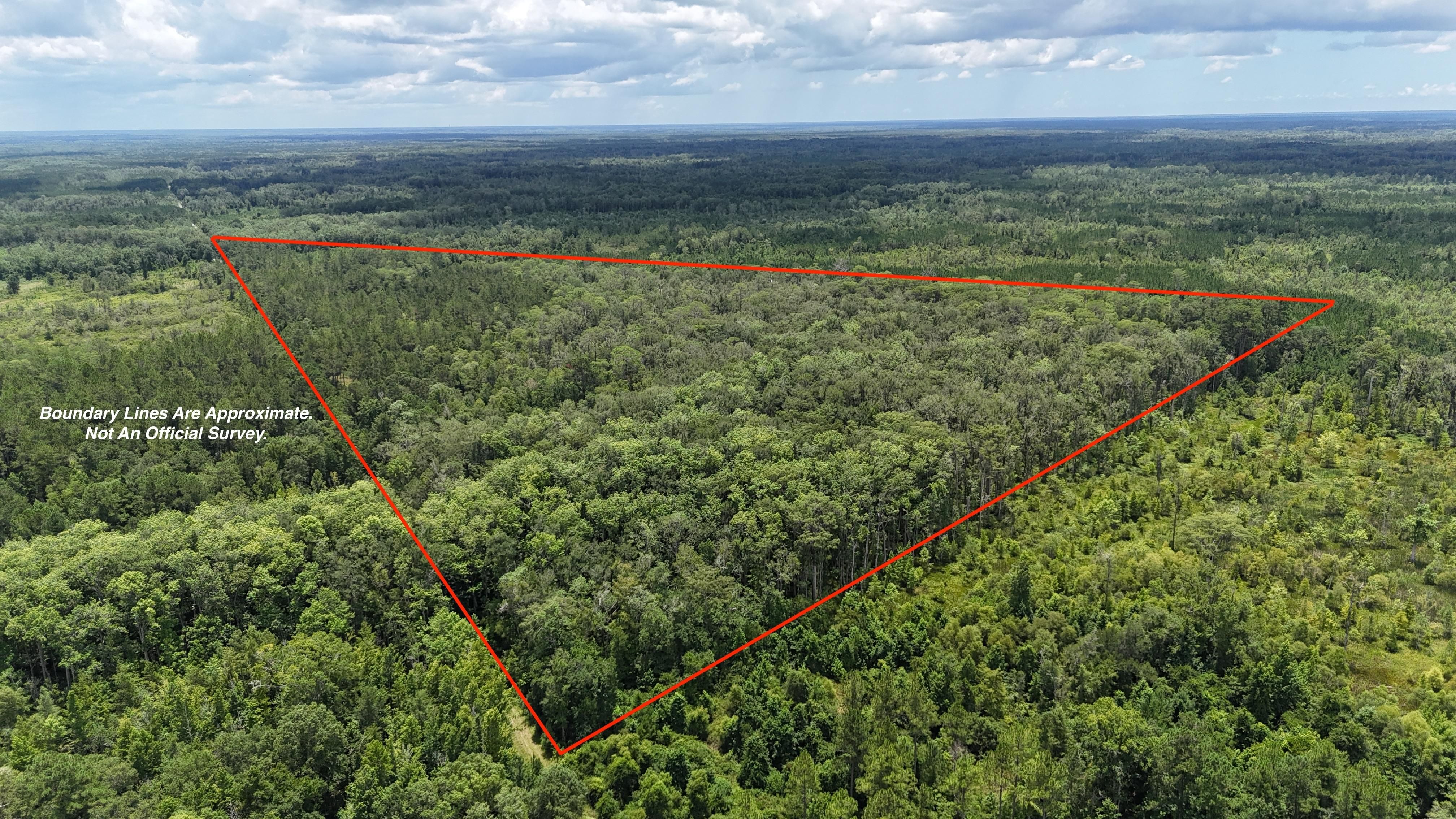 Oneal Tram Road, Lamont, FL 32336 | MLS: 374473 | LandWatch