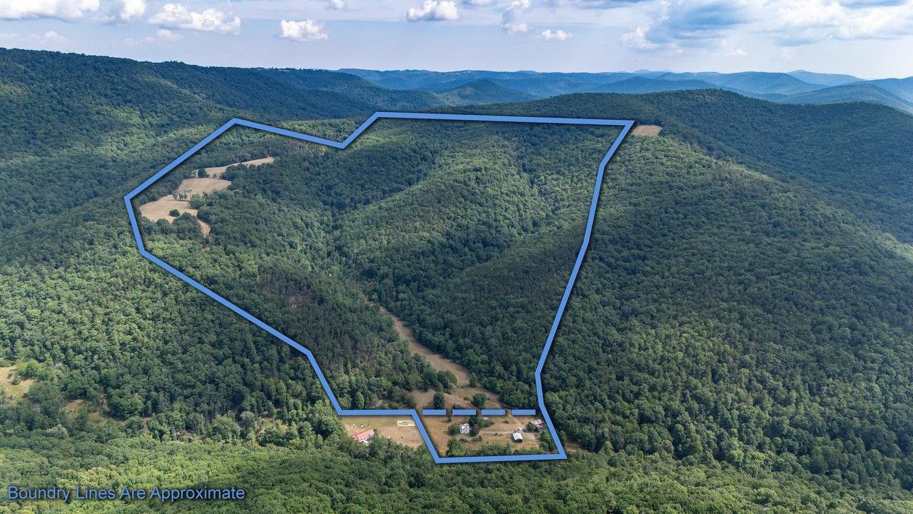22590 CRIDERS RD, Criders, VA 22820 | MLS: 654880 | LandWatch