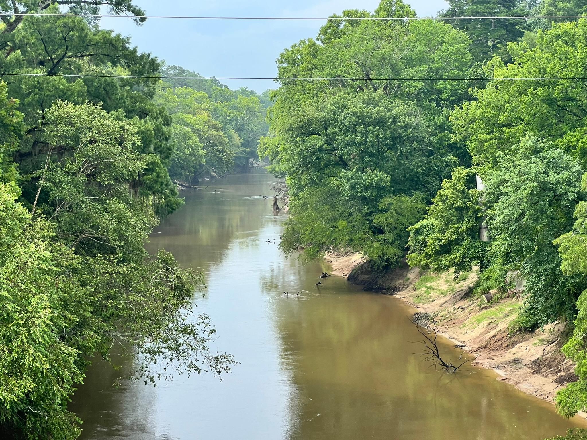 Woodard Switch Road, Waynesboro, MS 39367 | LandWatch