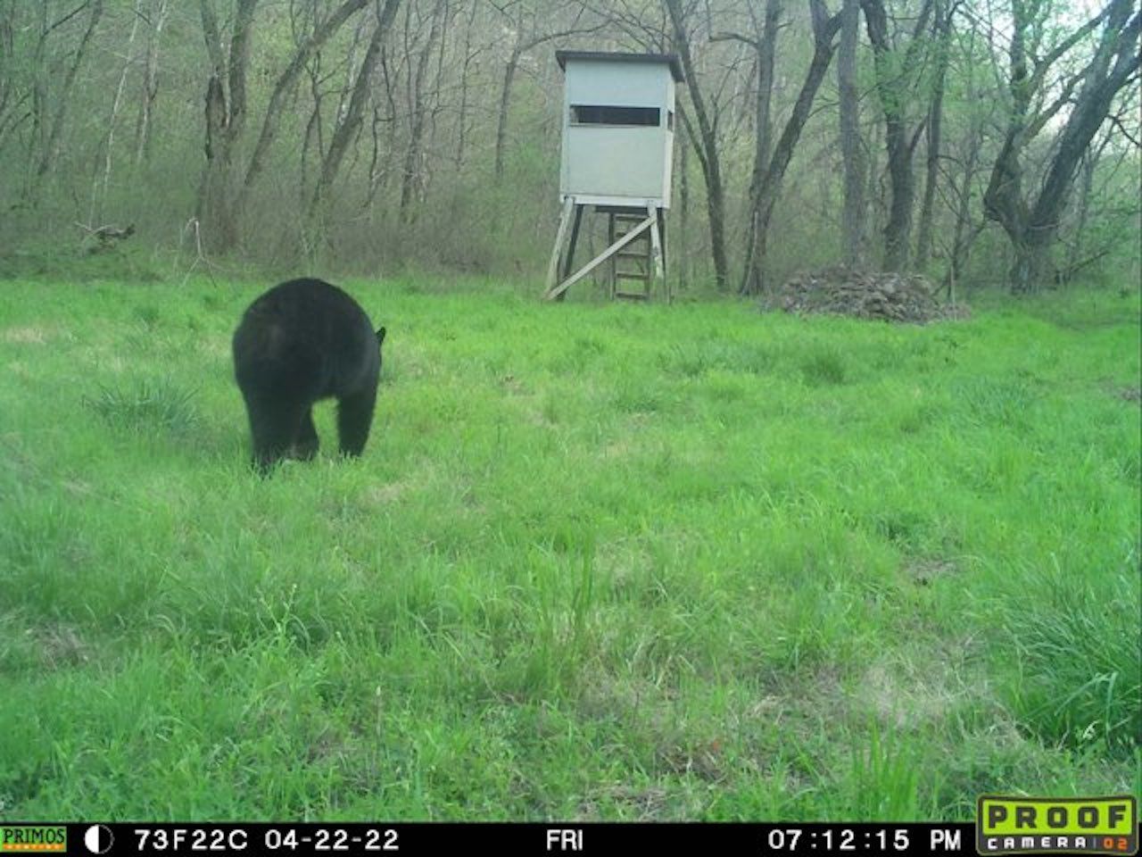 CR 149, Lot# WP001, Oxley, AR 72645 | LandWatch