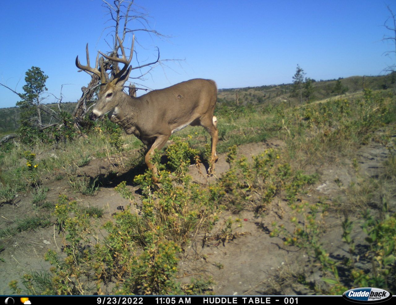 TBD Meadville Road, Lot#WP001, Meadville, NE 68778 | LandWatch