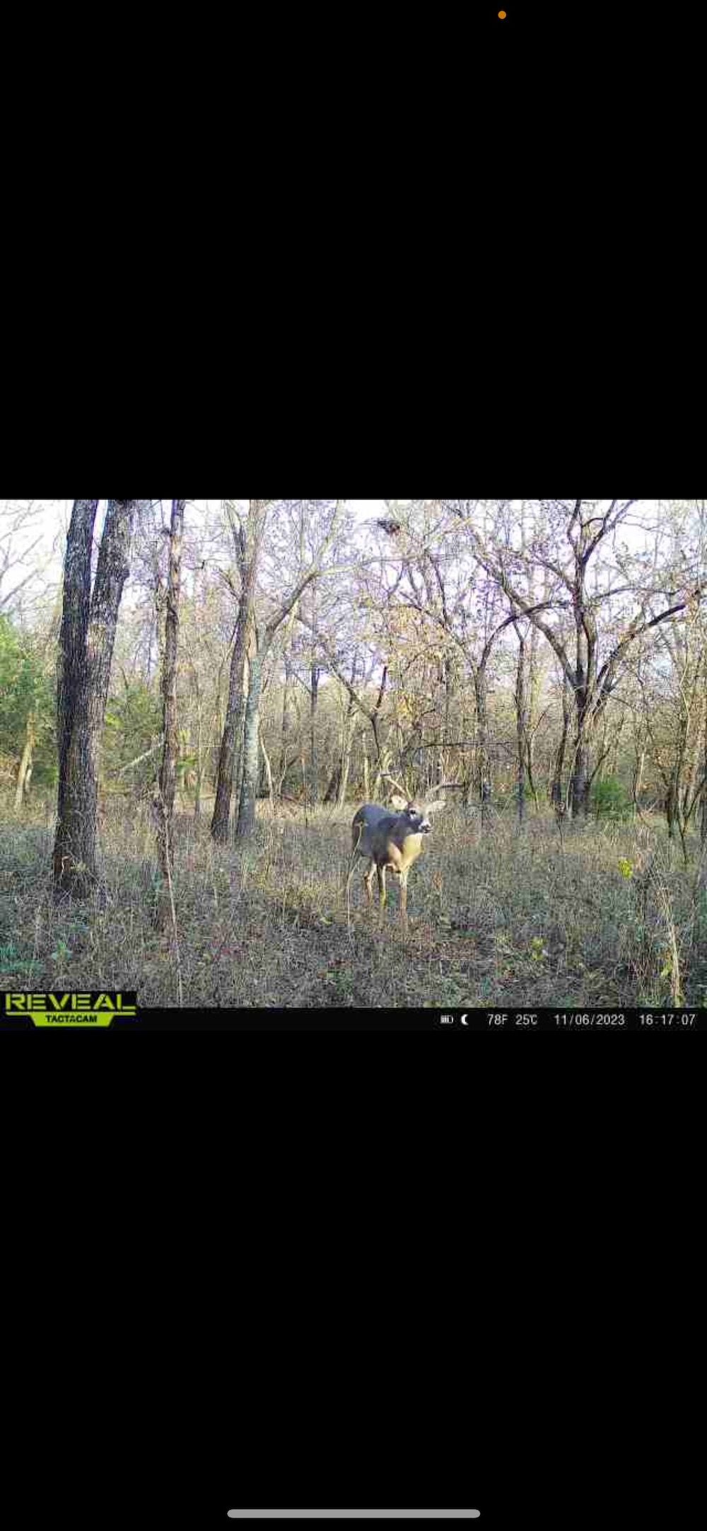 15000 Rd, Cherryvale, KS 67335 | LandWatch