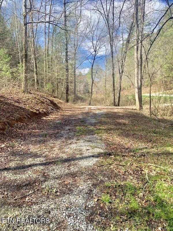 379 Maple Springs Rd, Reliance, TN 37369 | MLS: 1268313 | LandWatch