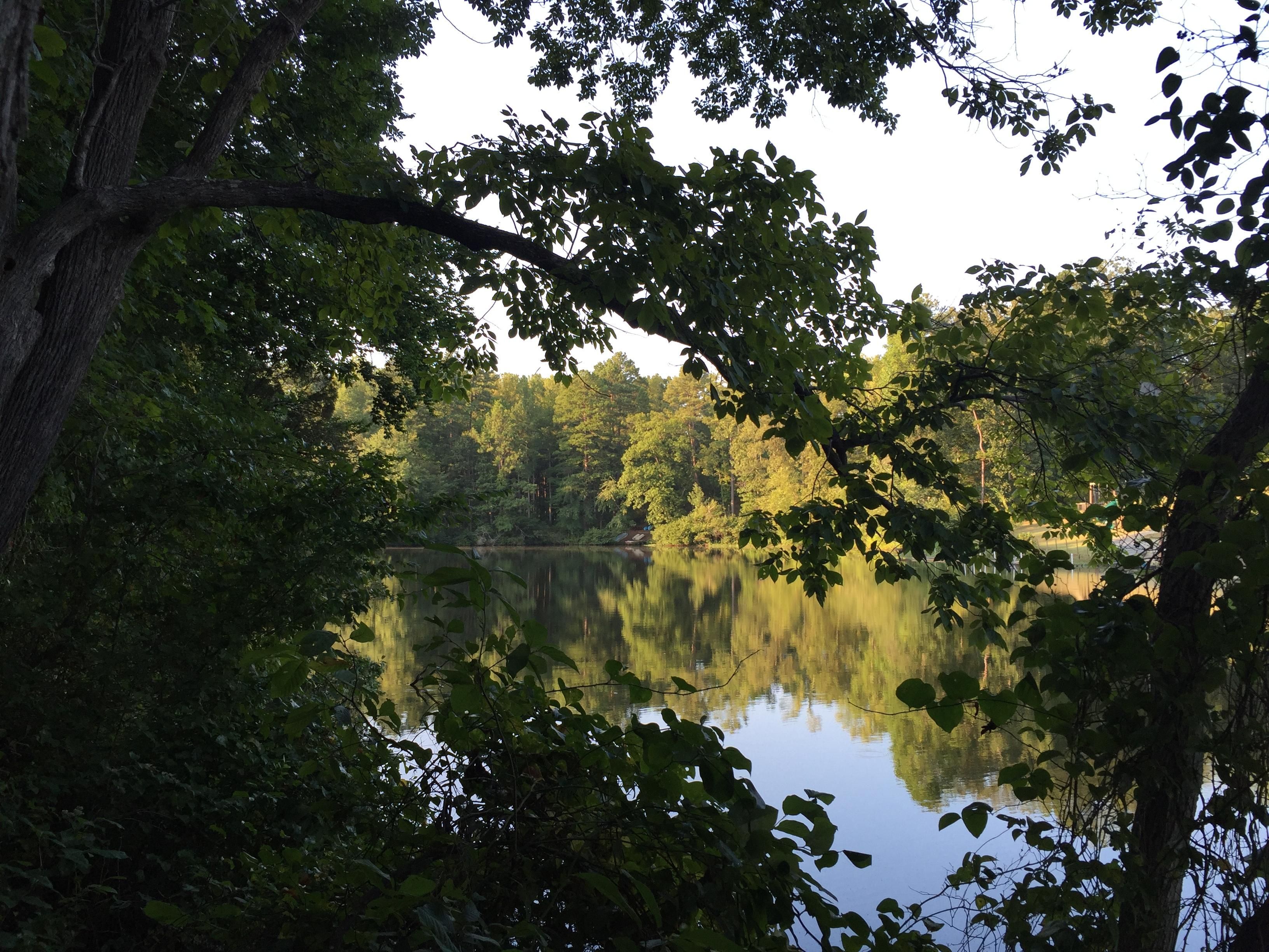 Whitmore Town Rd, Crewe, VA 23930 | LandWatch