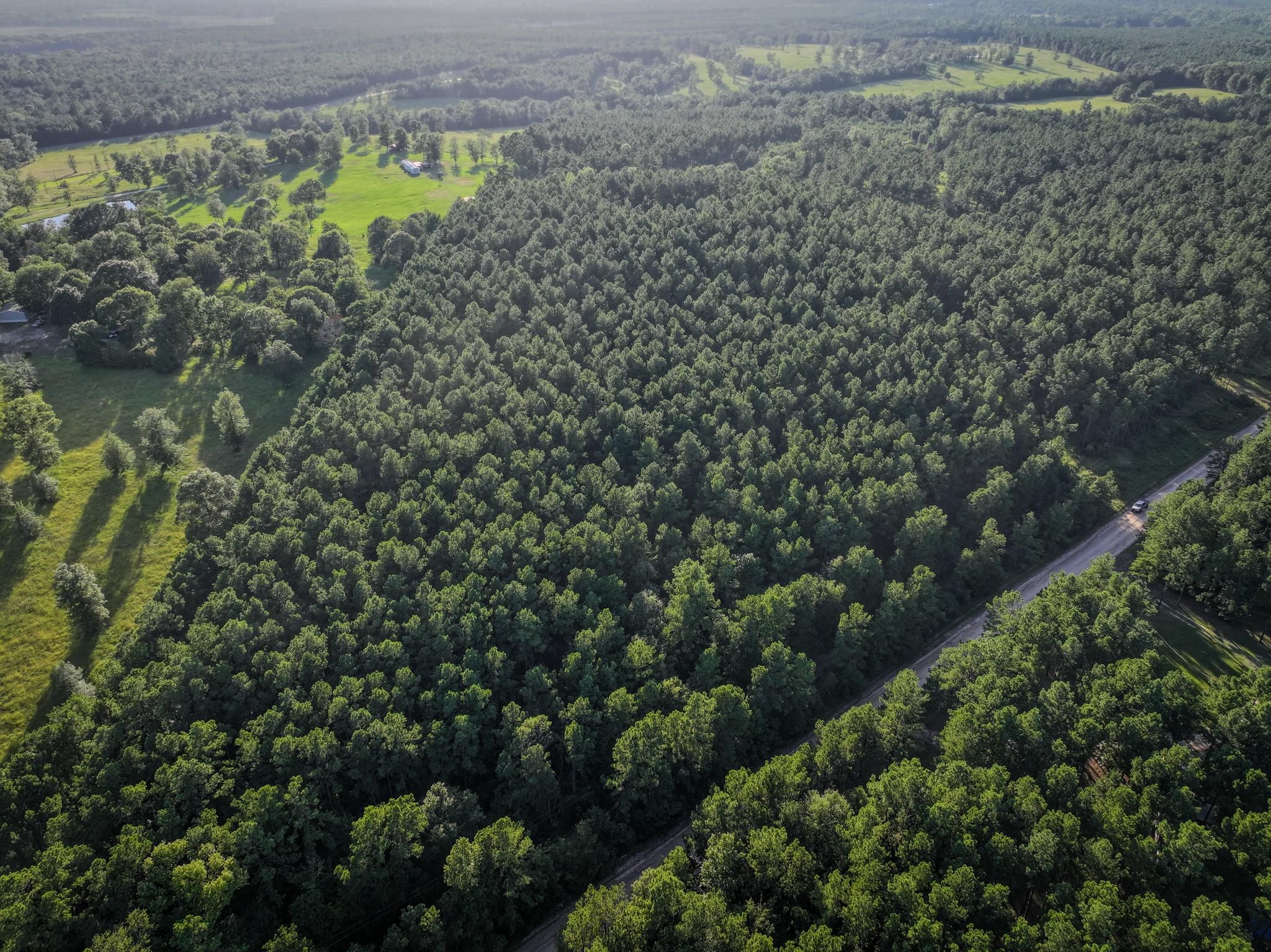 TBD Old HWY 287, Groveton, TX 75845 | MLS: Trinity County's Stunning ...