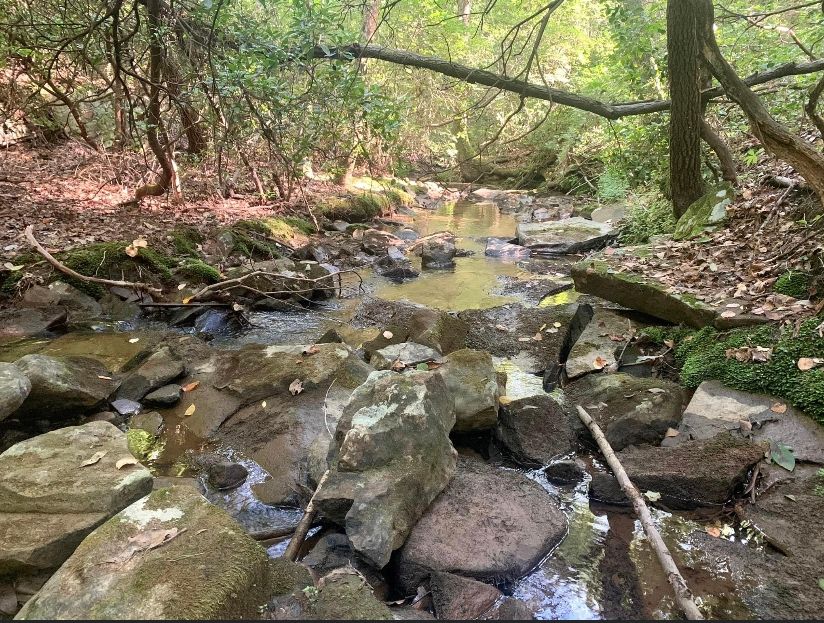 0 Highway 157, Rising Fawn, GA 30738 | LandWatch