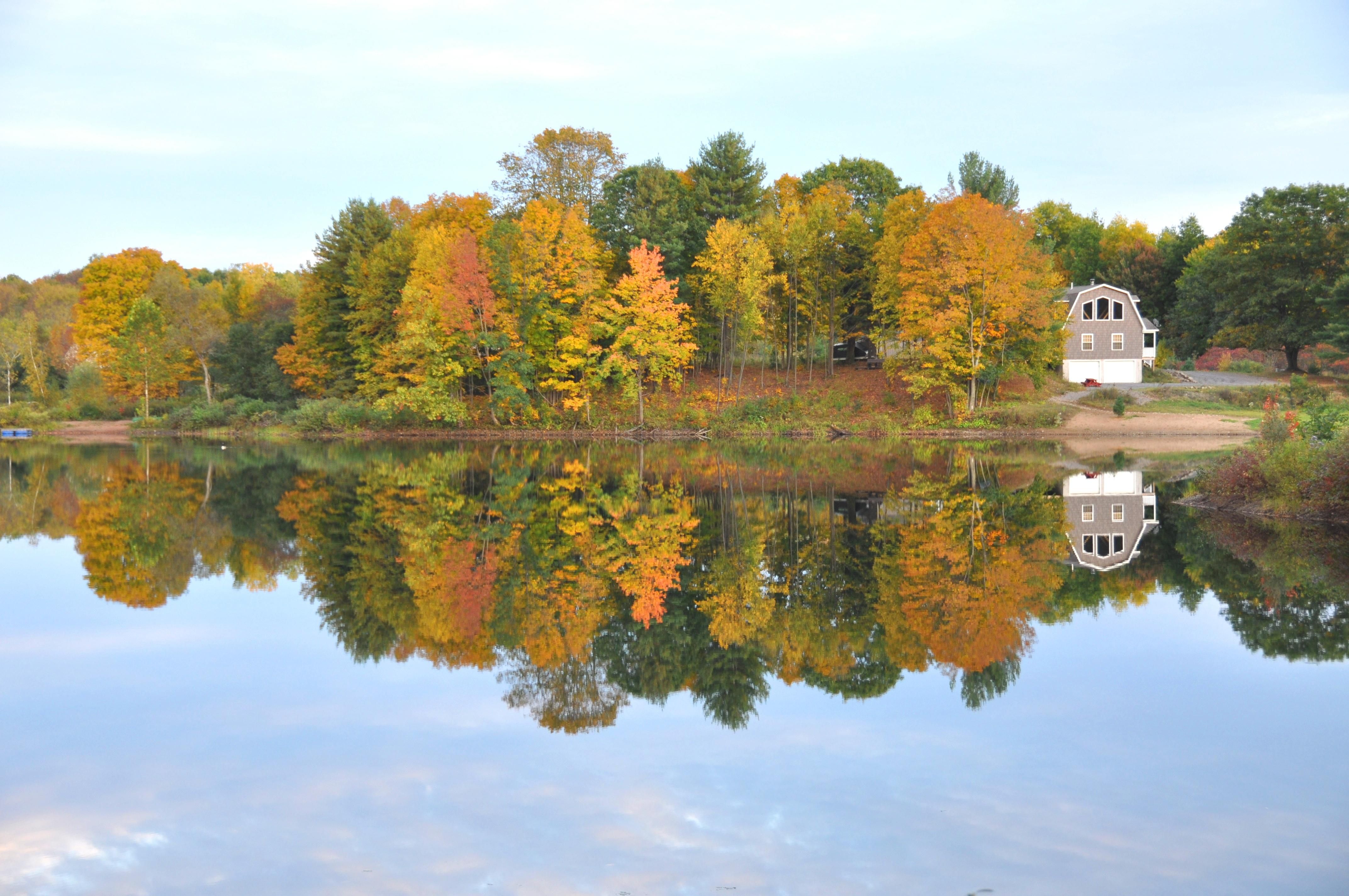 Gay Road, Altmar, NY 13302 | MLS: HI-6D | LandWatch