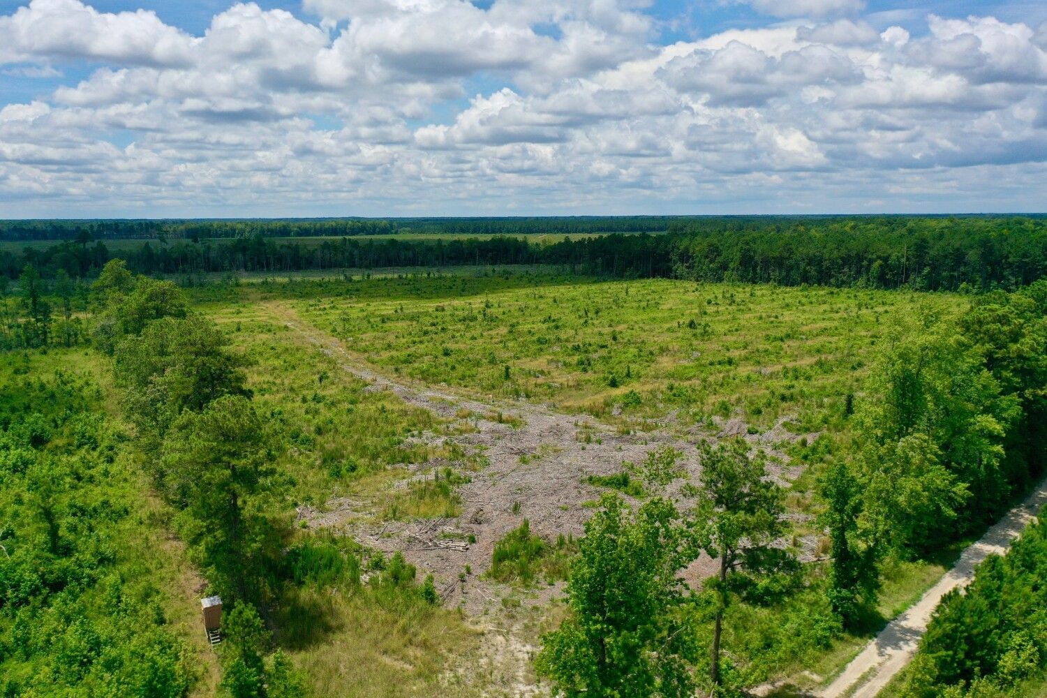 0 Shiloh Road, Watha, NC 28478 | MLS: 11322073 | LandWatch