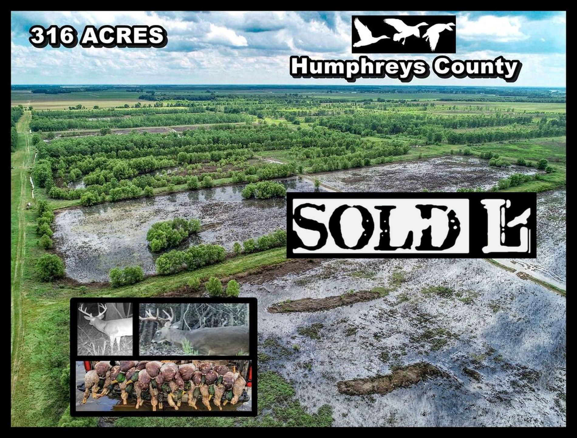 Catfish Road, Isola, MS 38754 | LandWatch