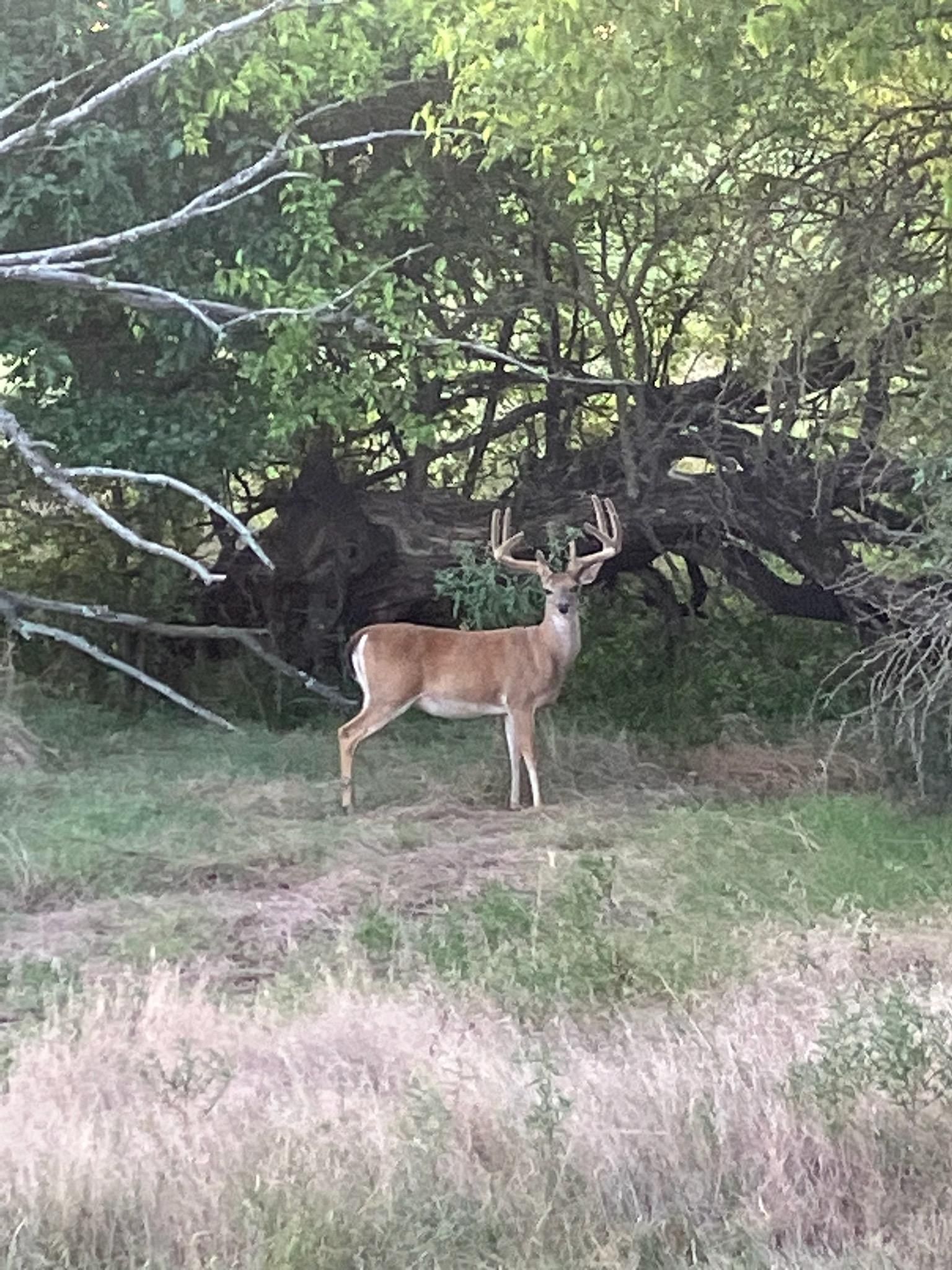Hwy 75, Lehigh, OK 74556 | MLS: 2422815 | LandWatch