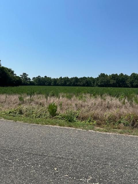 Buck Swamp Road, Fork, SC 29543 | LandWatch