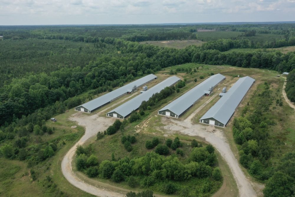 1662 Ellis Rd, Kershaw, SC 29067 | LandWatch