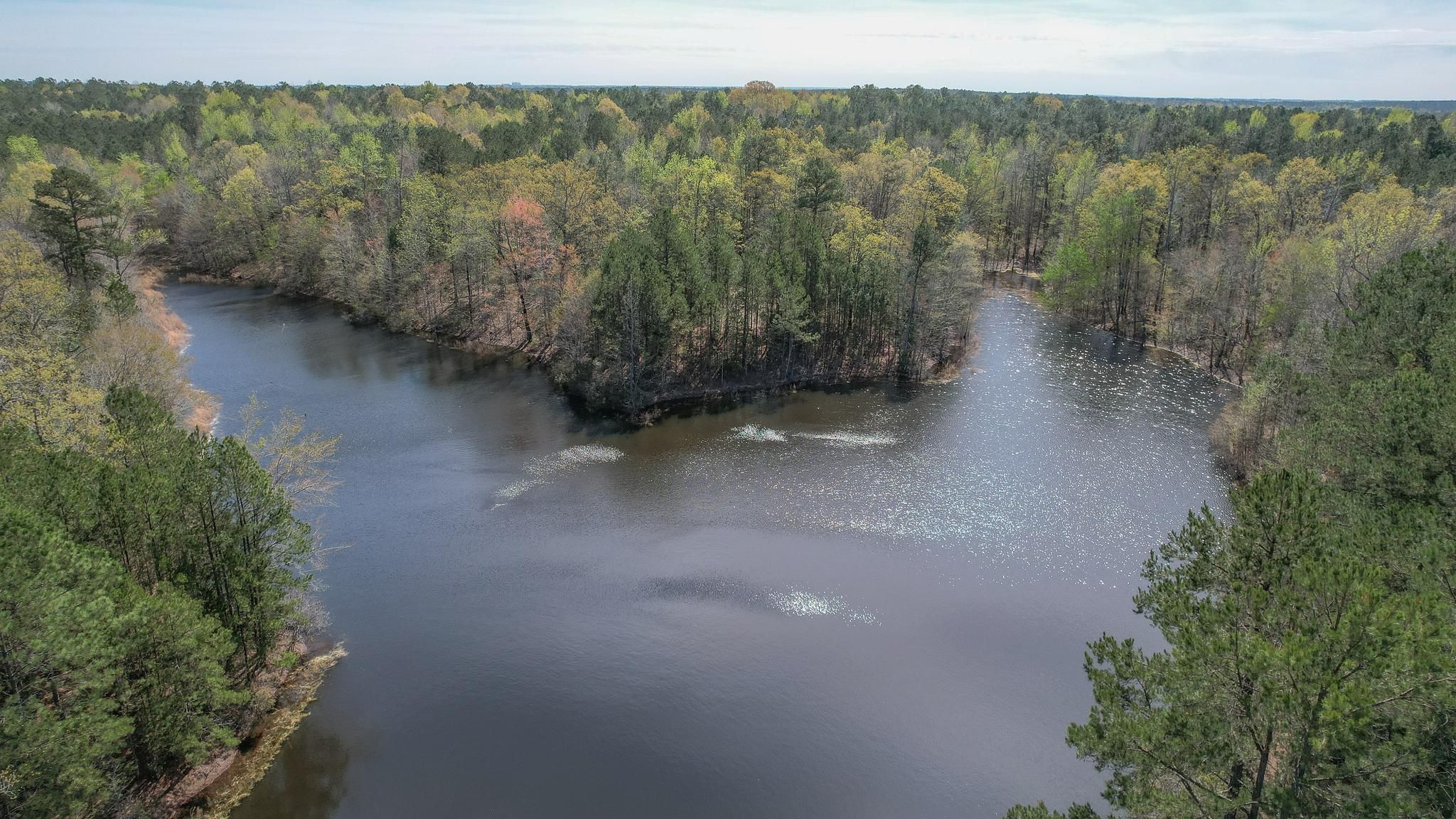 TBD CR 108, Doddridge, AR 71834 | LandWatch