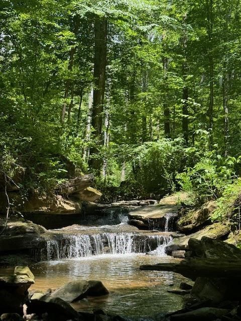 Monterey HWY, Monterey, TN 38574 | MLS: 228660 | LandWatch