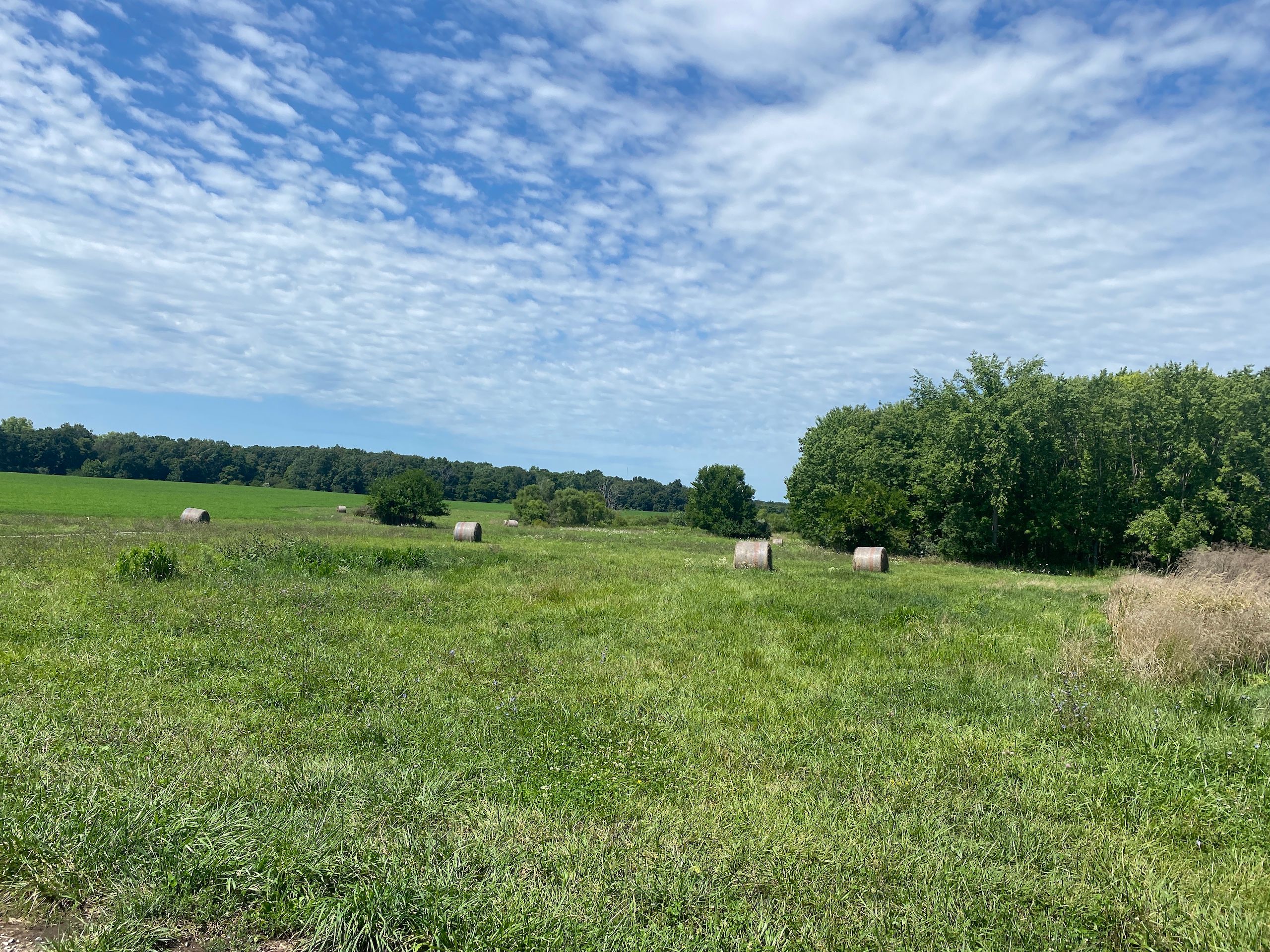 11566 E 2000 North Rd, Danville, IL 61834 | LandWatch