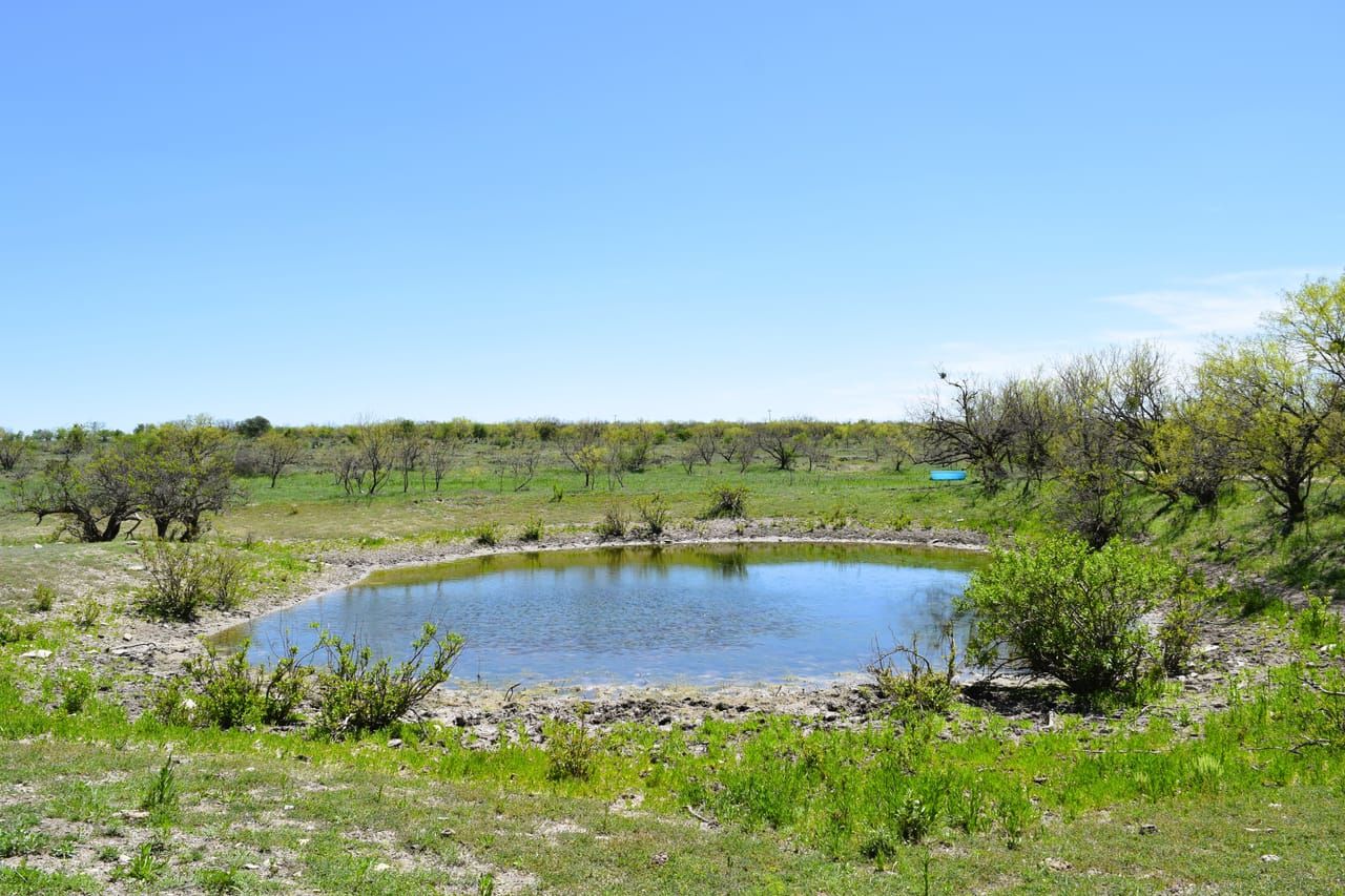 656 acres in Talpa, TX, 76882 | MLS: 20303827 | LandWatch