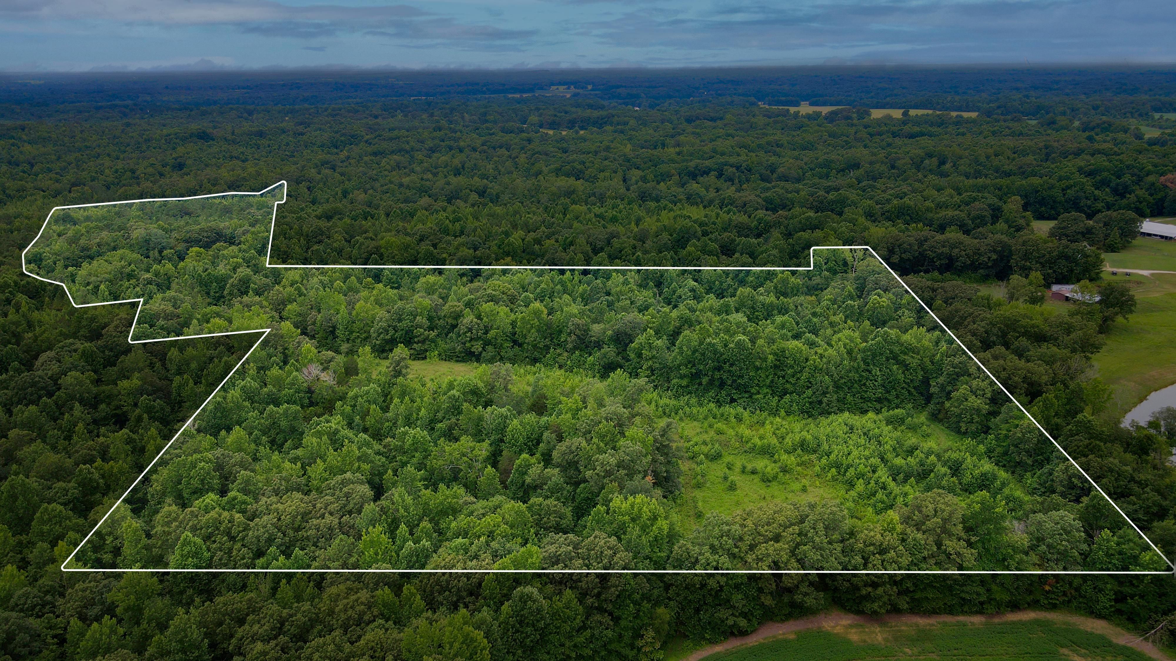 Fewell Ln, Lavinia, TN 38348 | MLS: 41019-24068 | LandWatch