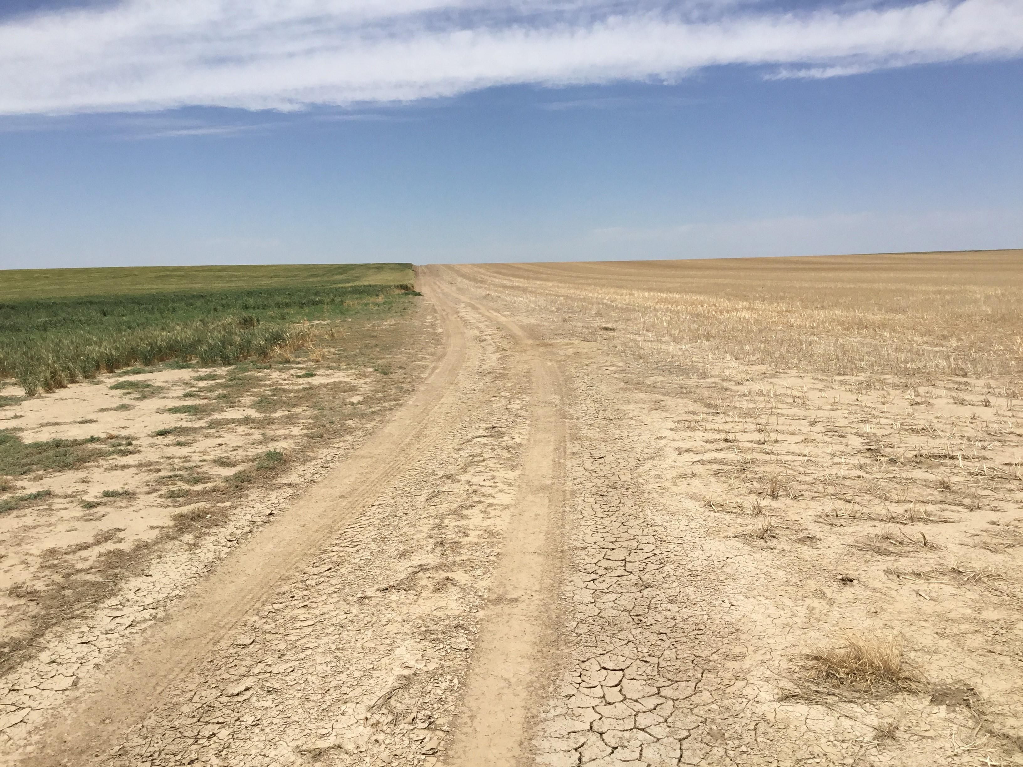 320 acres in Woodrow, CO, 80757 | MLS: 1014404 | LandWatch