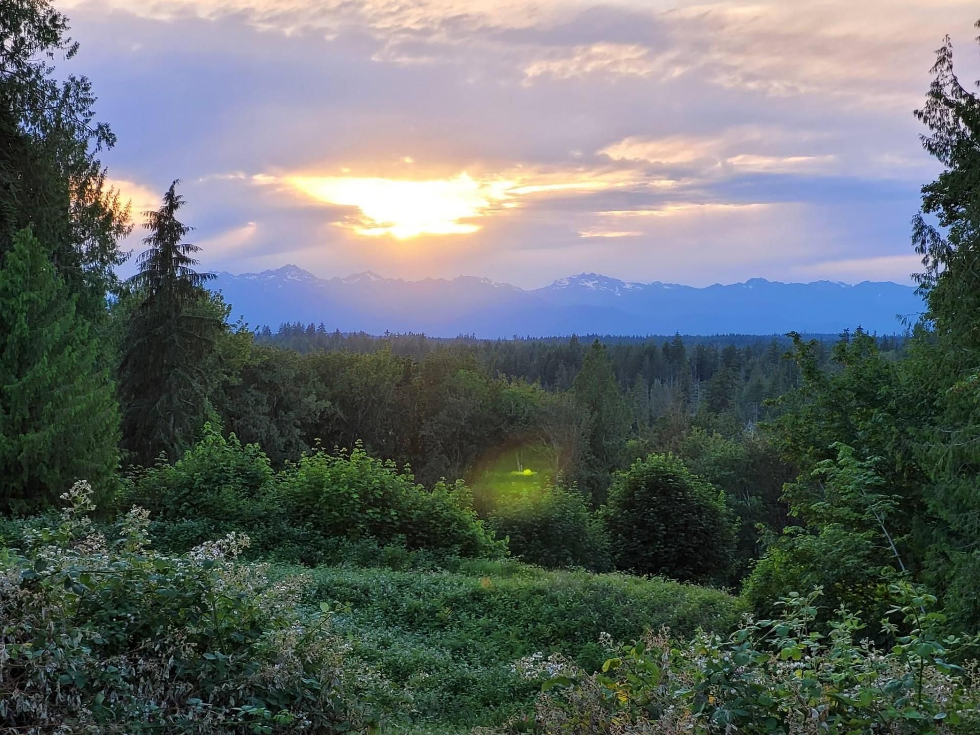 16621 92nd St NW, Lakebay, WA 98349 | MLS: 2258715 | LandWatch