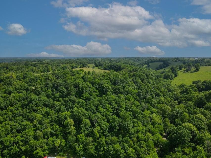 41 Jack Turner Branch Road, Lancaster, KY 40444 | MLS: 24011647 | LandWatch