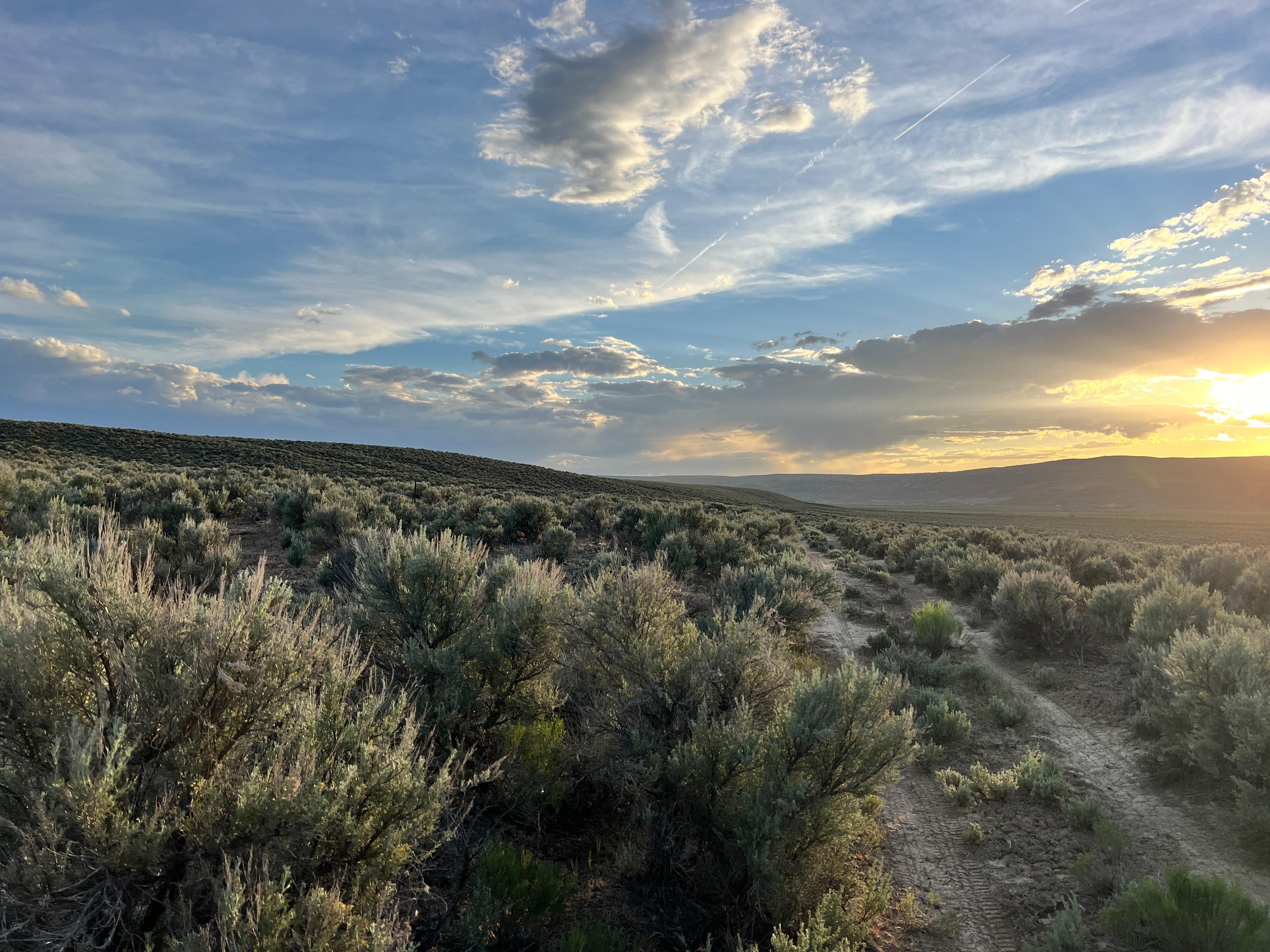 10 acres in Elko, NV, 89801 | LandWatch
