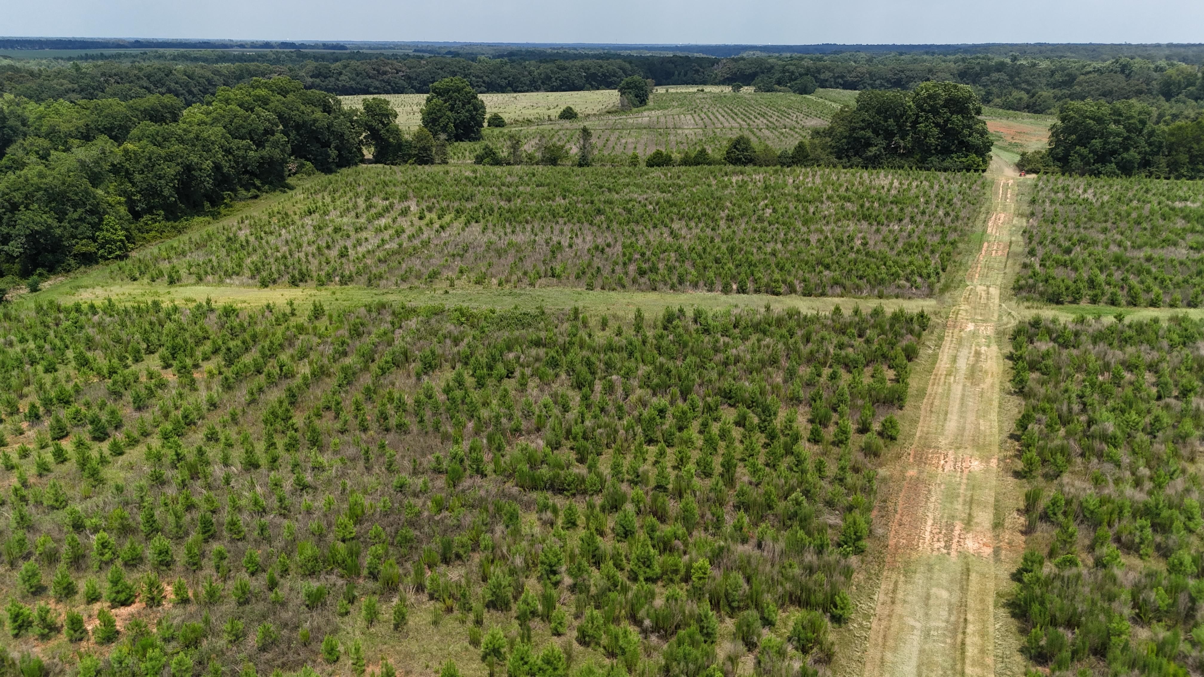 Bob Dodson Road, Plains, GA 31780 | LandWatch