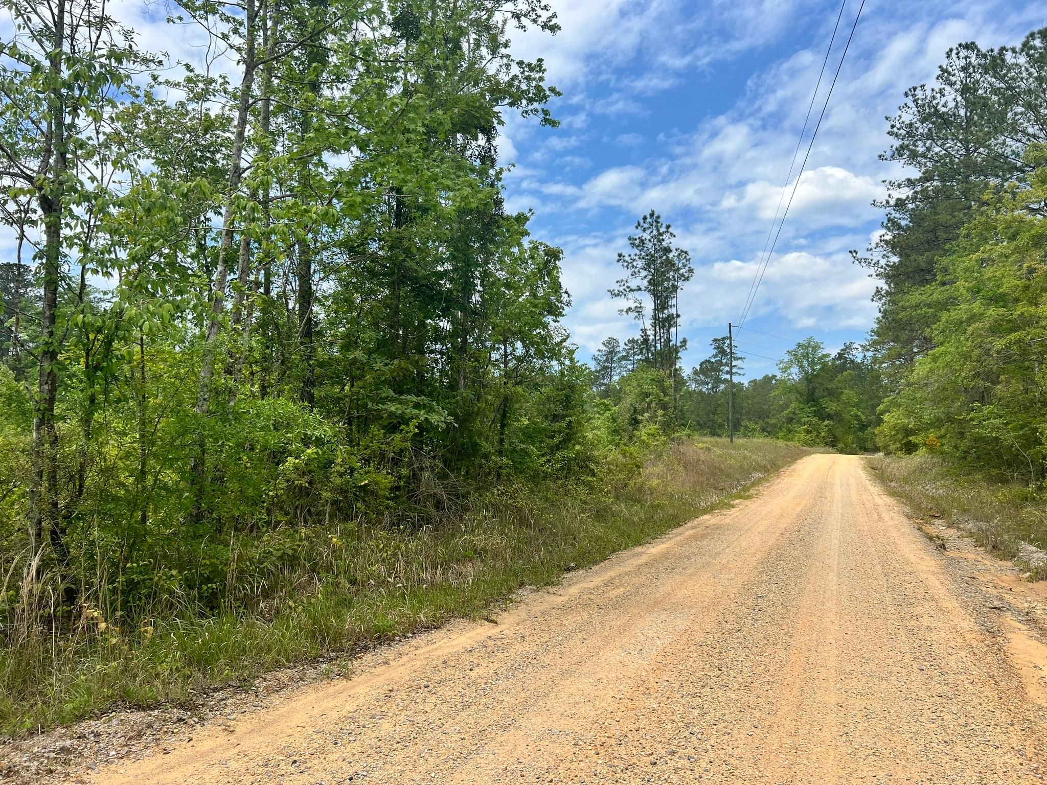 12 acres in Waynesboro, MS, 39367 | LandWatch