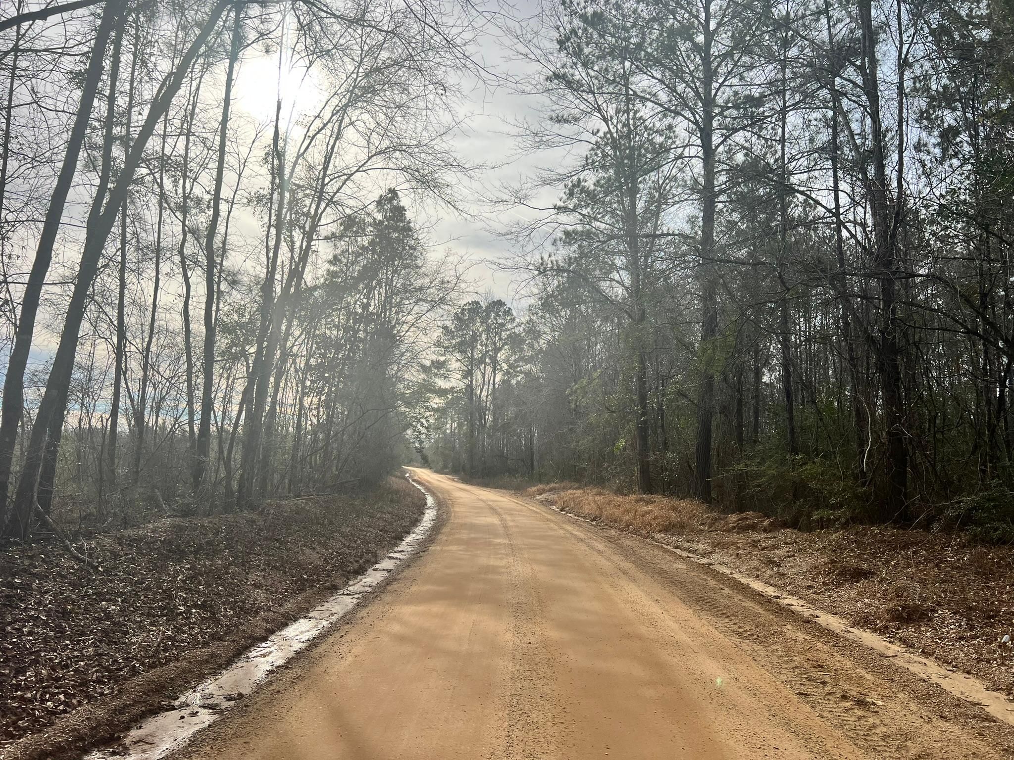 Strickland Road, Waynesboro, MS 39367 | LandWatch