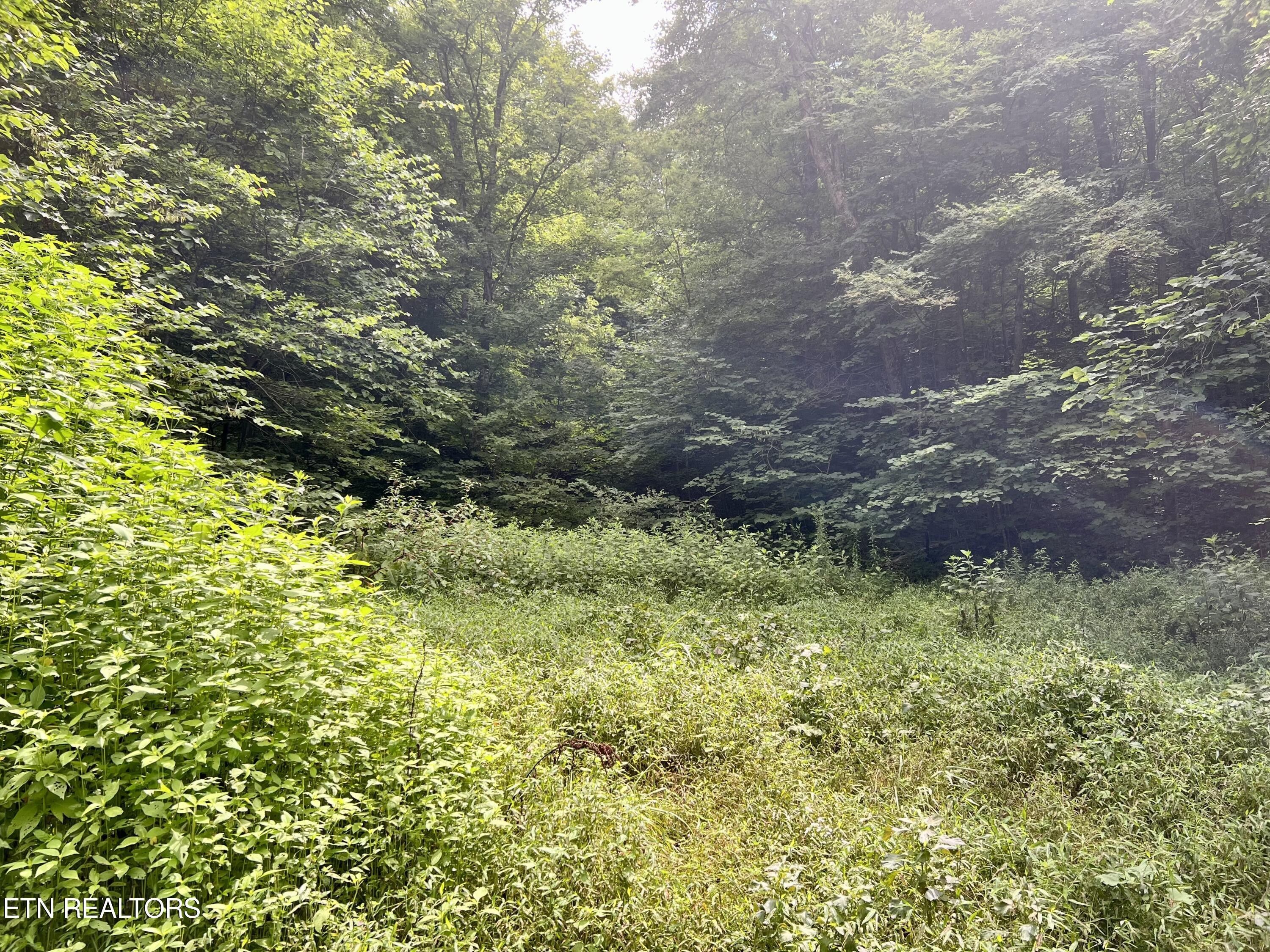 00 Jackson Ridge Rd, Tazewell, TN 37879 | MLS: 1270346 | LandWatch