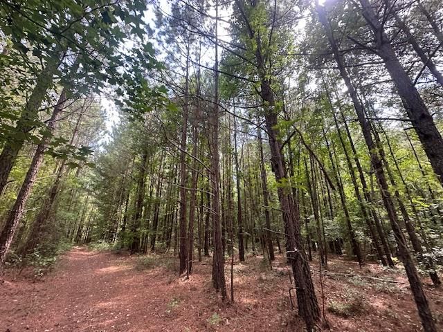 100 St Mary's Rd SW, Crawfordville, GA 30631 | MLS: 10342808 | LandWatch