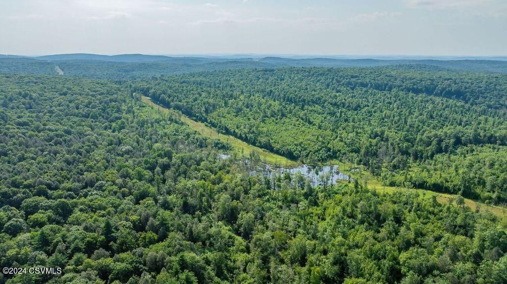 Kyttle Pike Road, Sweet Valley, PA 18656 | MLS: #20-97737 | LandWatch