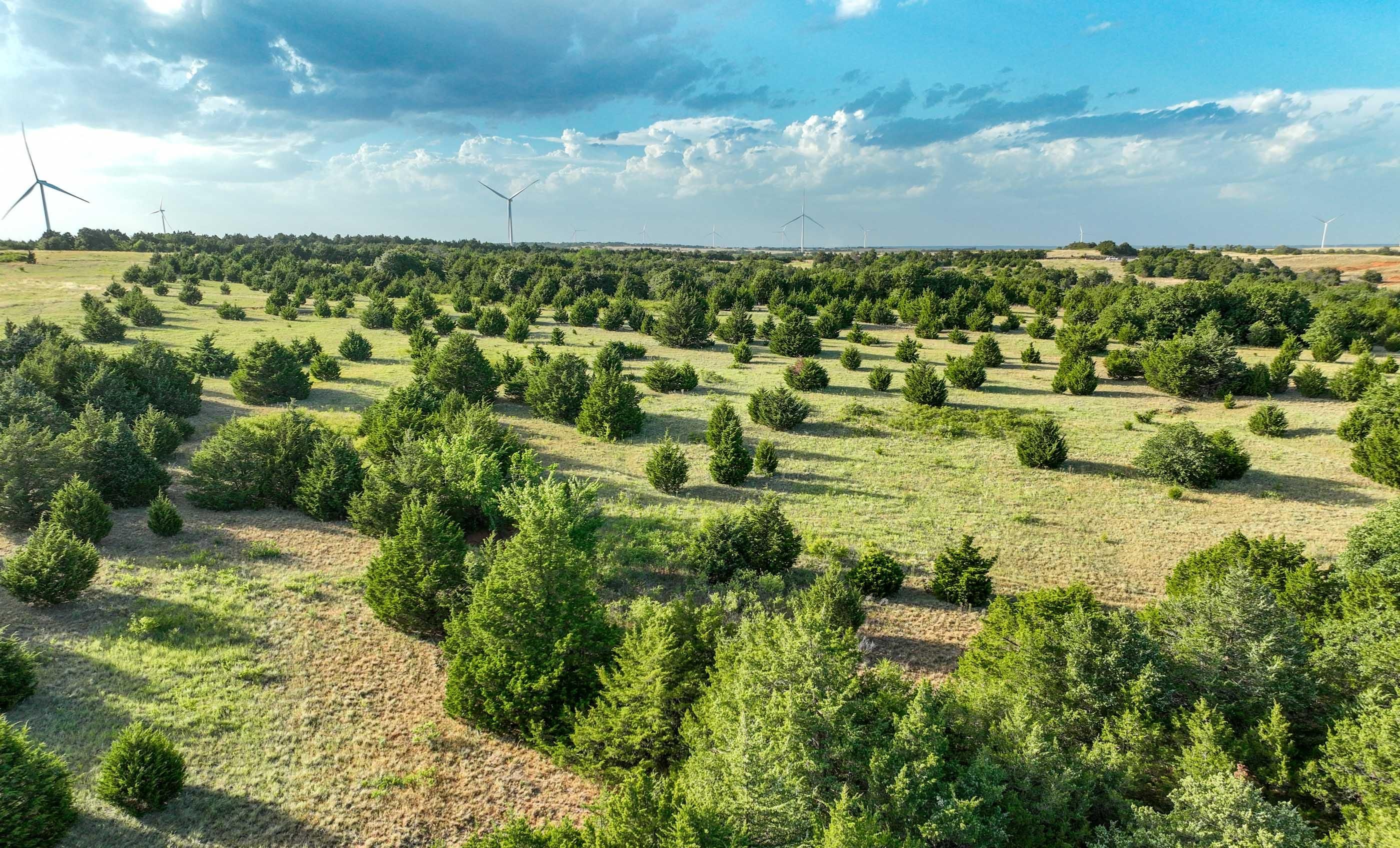 320 acres in Fay, OK, 73646 | LandWatch