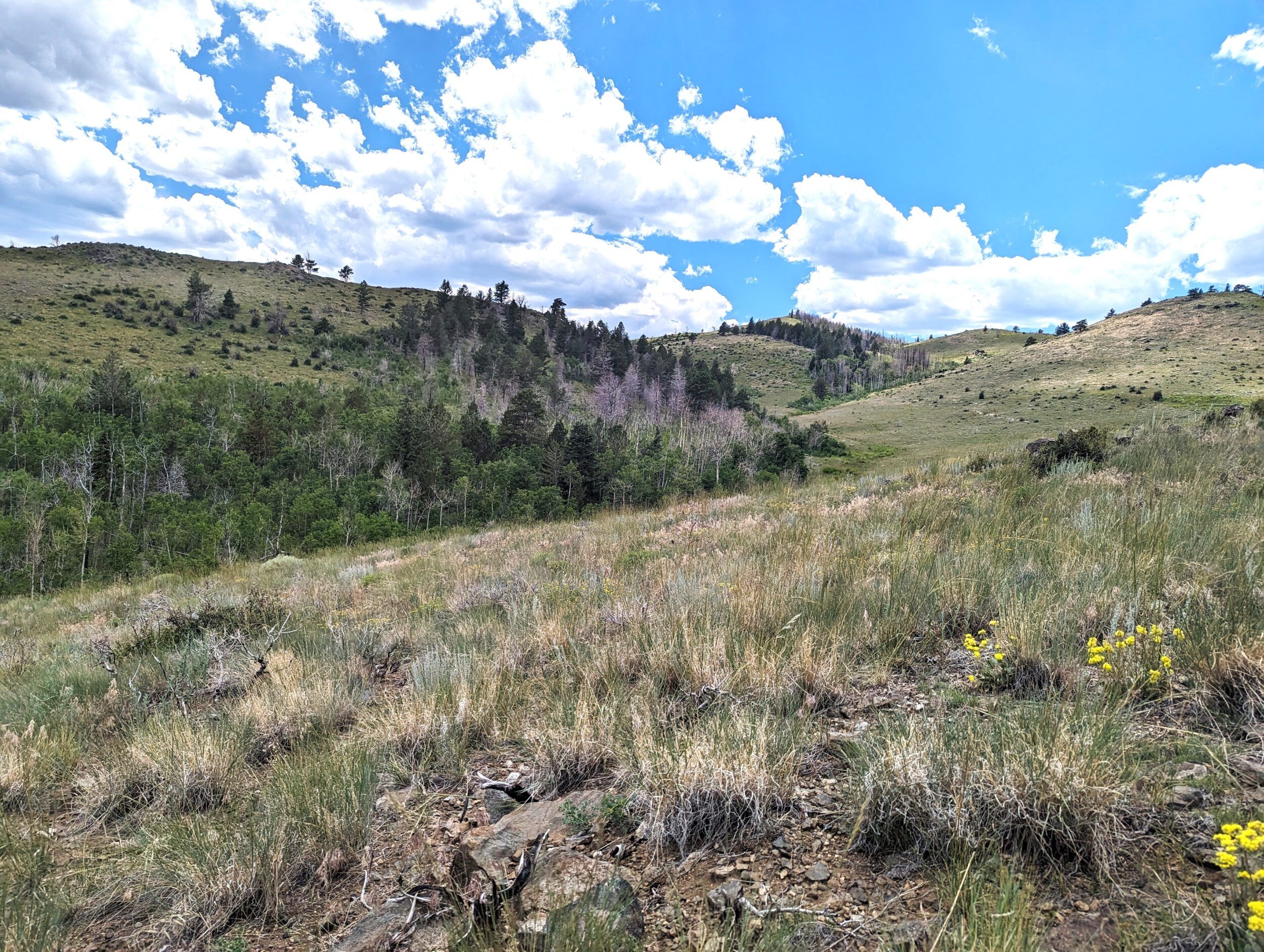 TBD Forest Service Rd 522eb, Jelm, WY 82063 | LandWatch