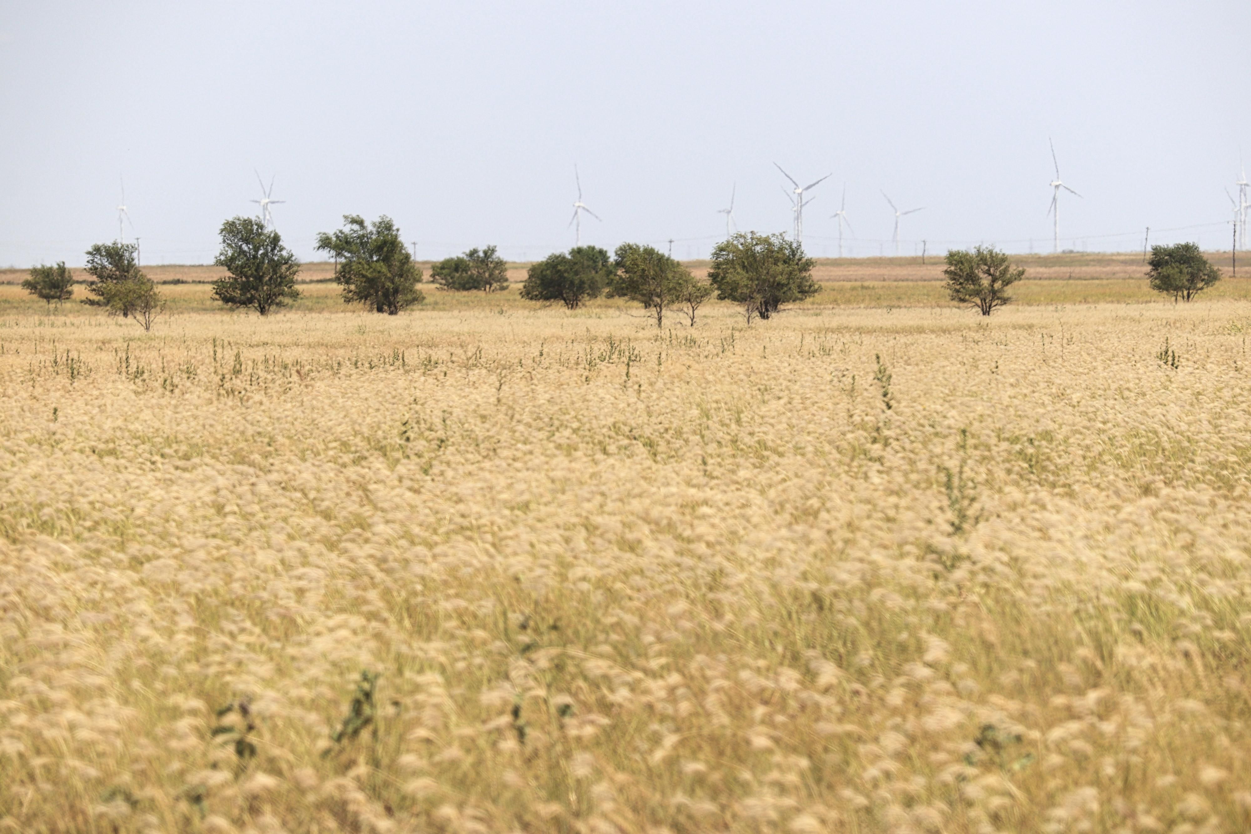 289 acres in Plainview, TX, 79072 | LandWatch