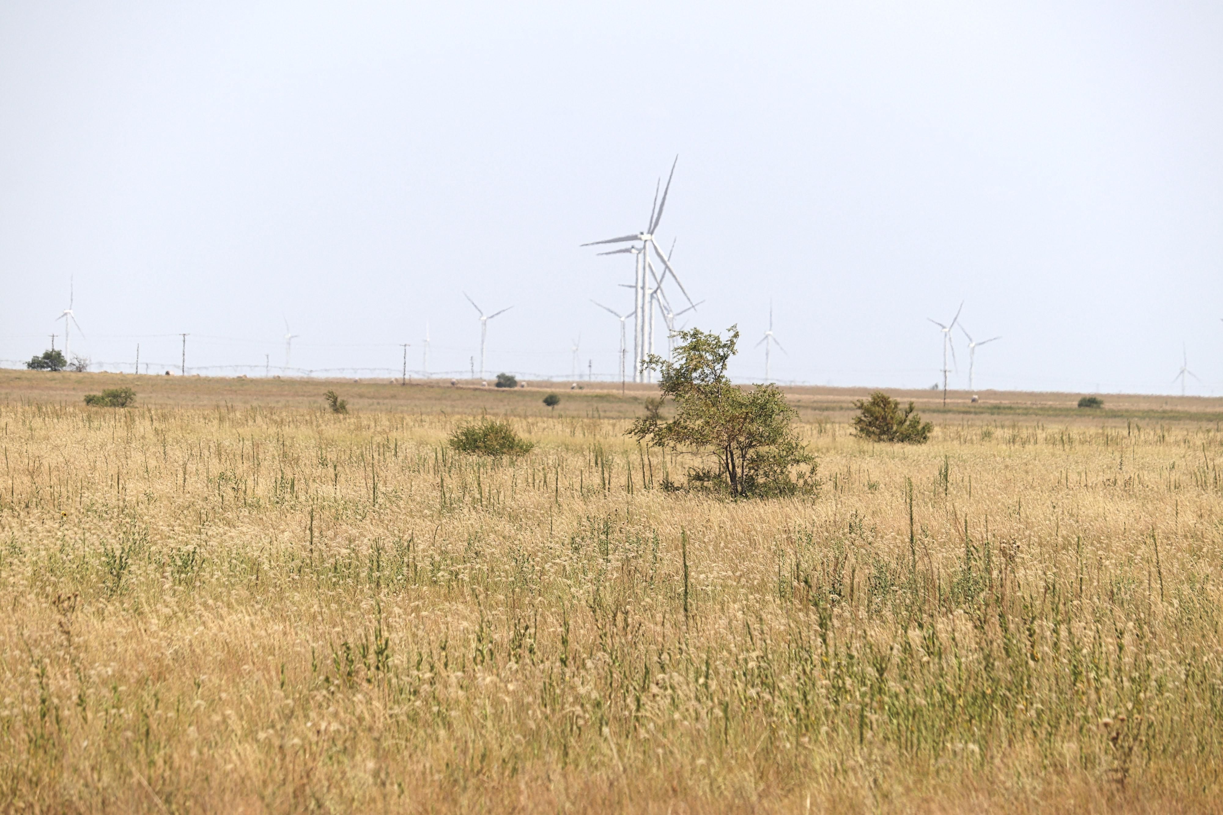 280 acres in Plainview, TX, 79072 | LandWatch
