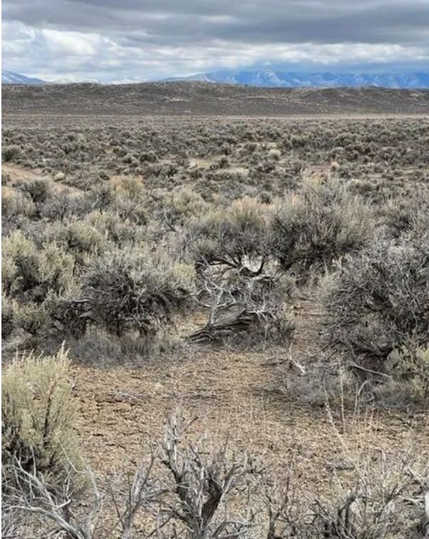 Interstate 80, Deeth, NV 89801 | MLS: 3621724 | LandWatch