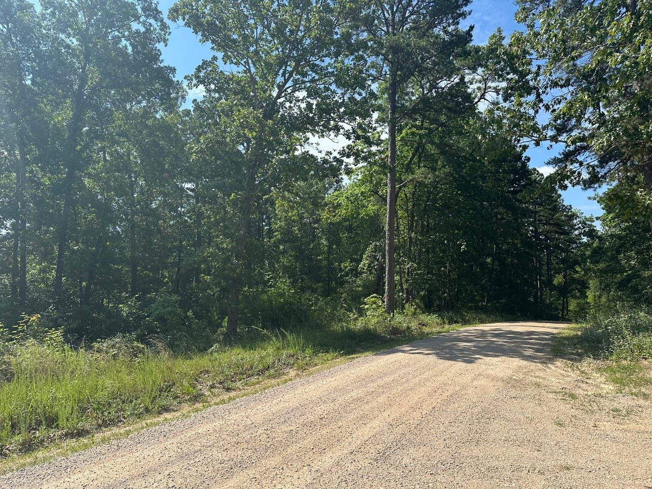 000 Carter 223, Ellsinore, MO 63937 | LandWatch