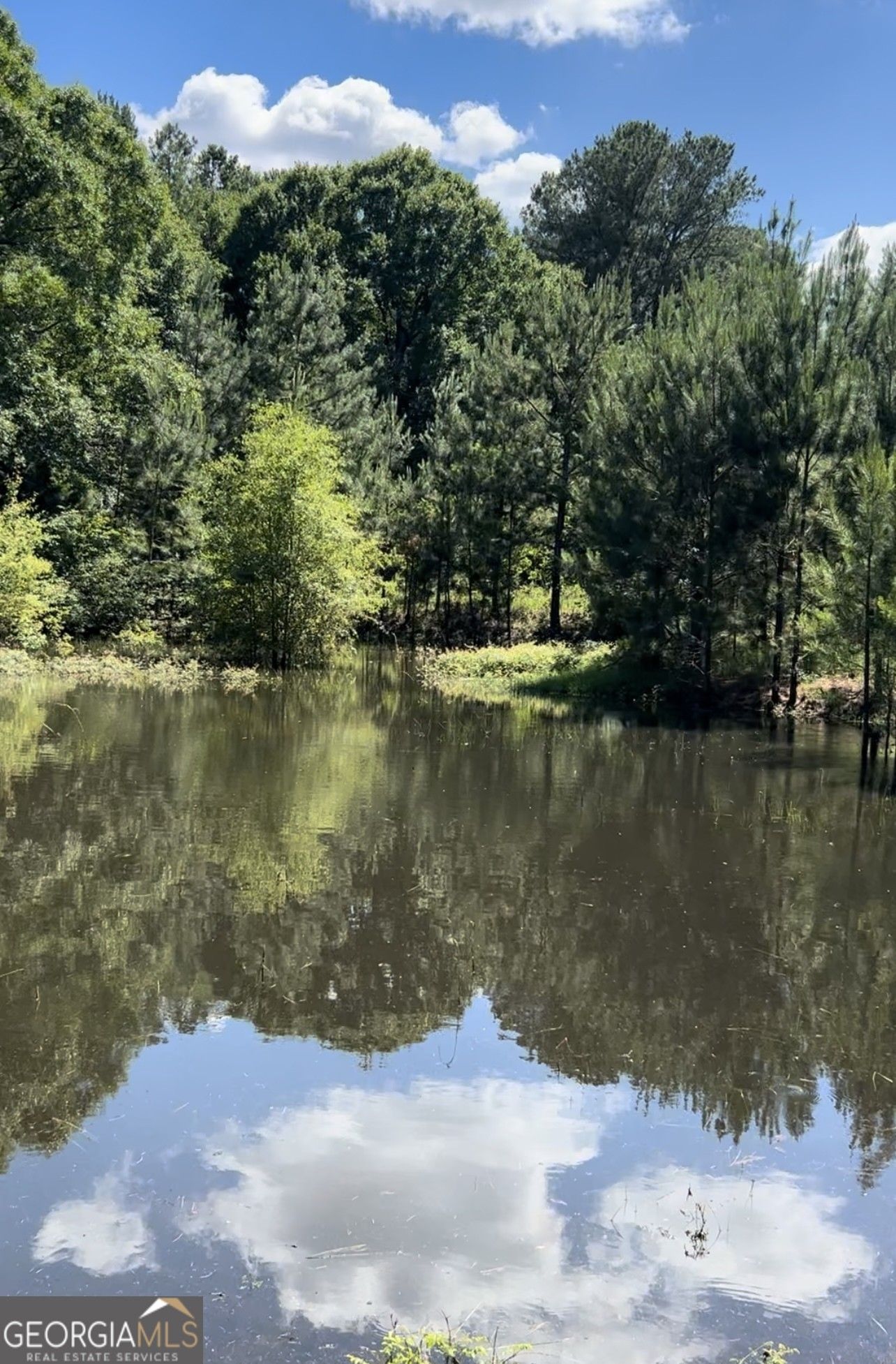 159 Pine, Dexter, GA 31019 | MLS: 10309610 | LandWatch