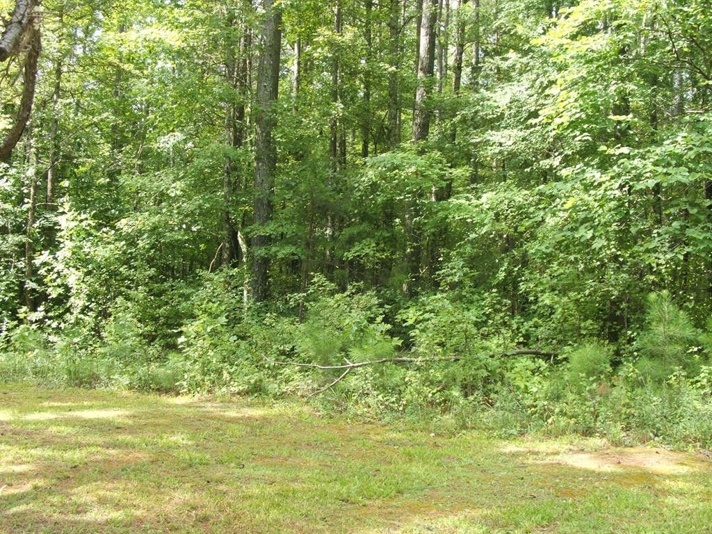 Shelly Lane, Keysville, VA 23947 | MLS: 54066 | LandWatch
