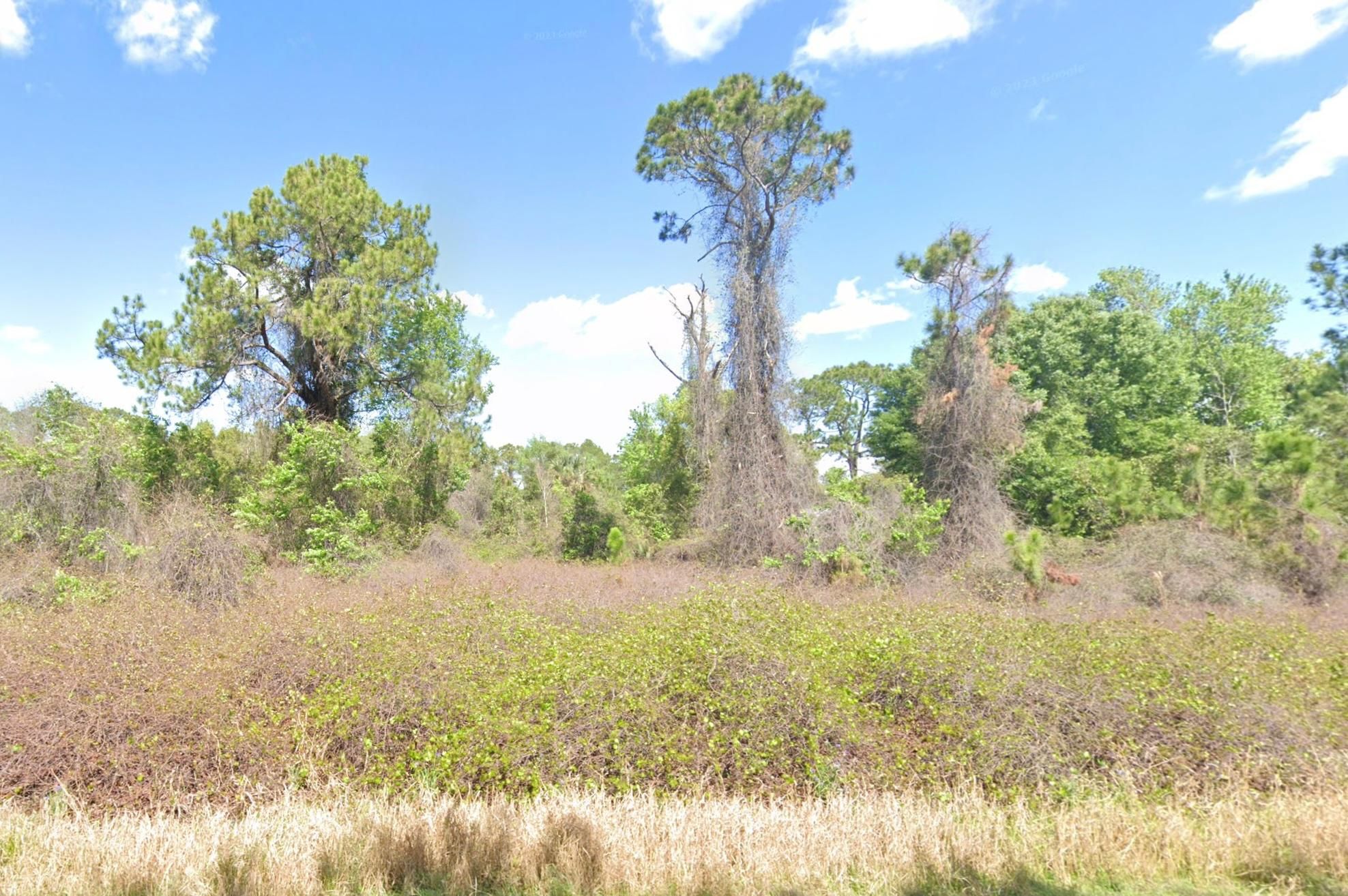 834 Paradise Boulevard, Georgetown, FL 32139 | LandWatch