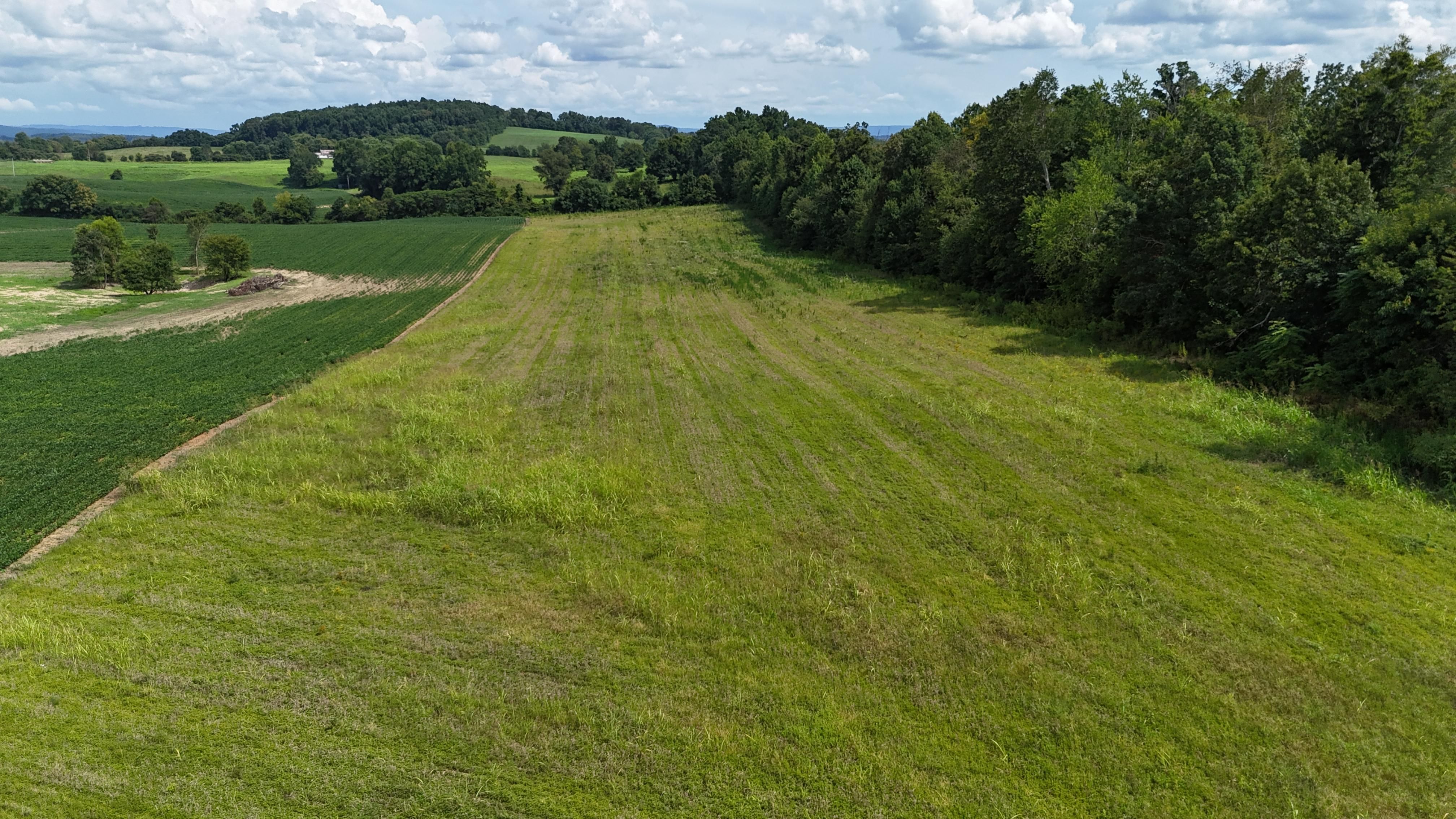 4038 Keisling Ridge Road, Monroe, TN 38573 | LandWatch