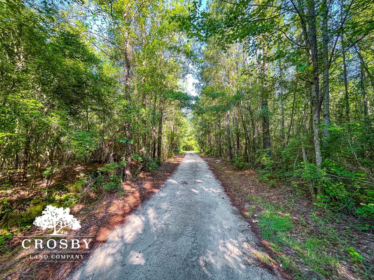 81 acres in Harrells, NC, 28444 | LandWatch