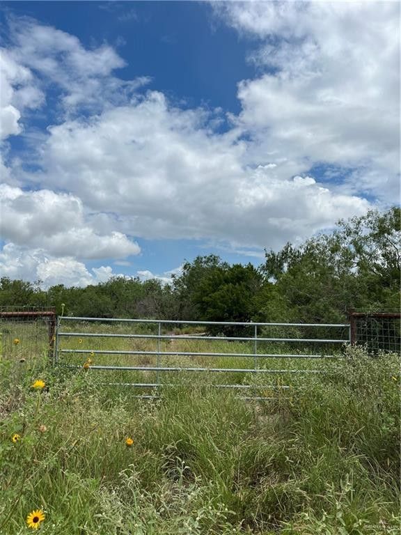 Tbd FM 1017 Highway, San Isidro, TX 78588 | MLS: 445635 | LandWatch