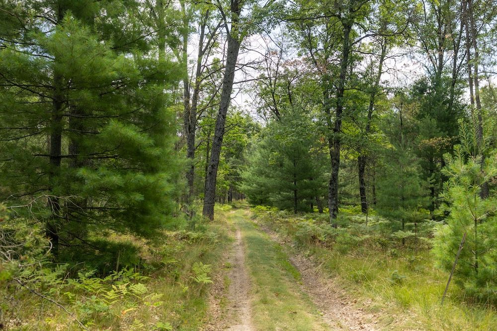 00 V/L S Danaher Dr., Baldwin, MI 49304 | LandWatch