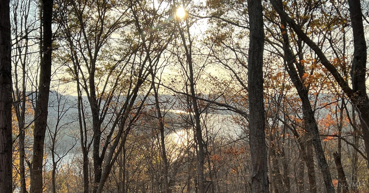 1466 Sugar Creek Road , Crown City, OH 45623 | MLS: 1789725 | LandWatch