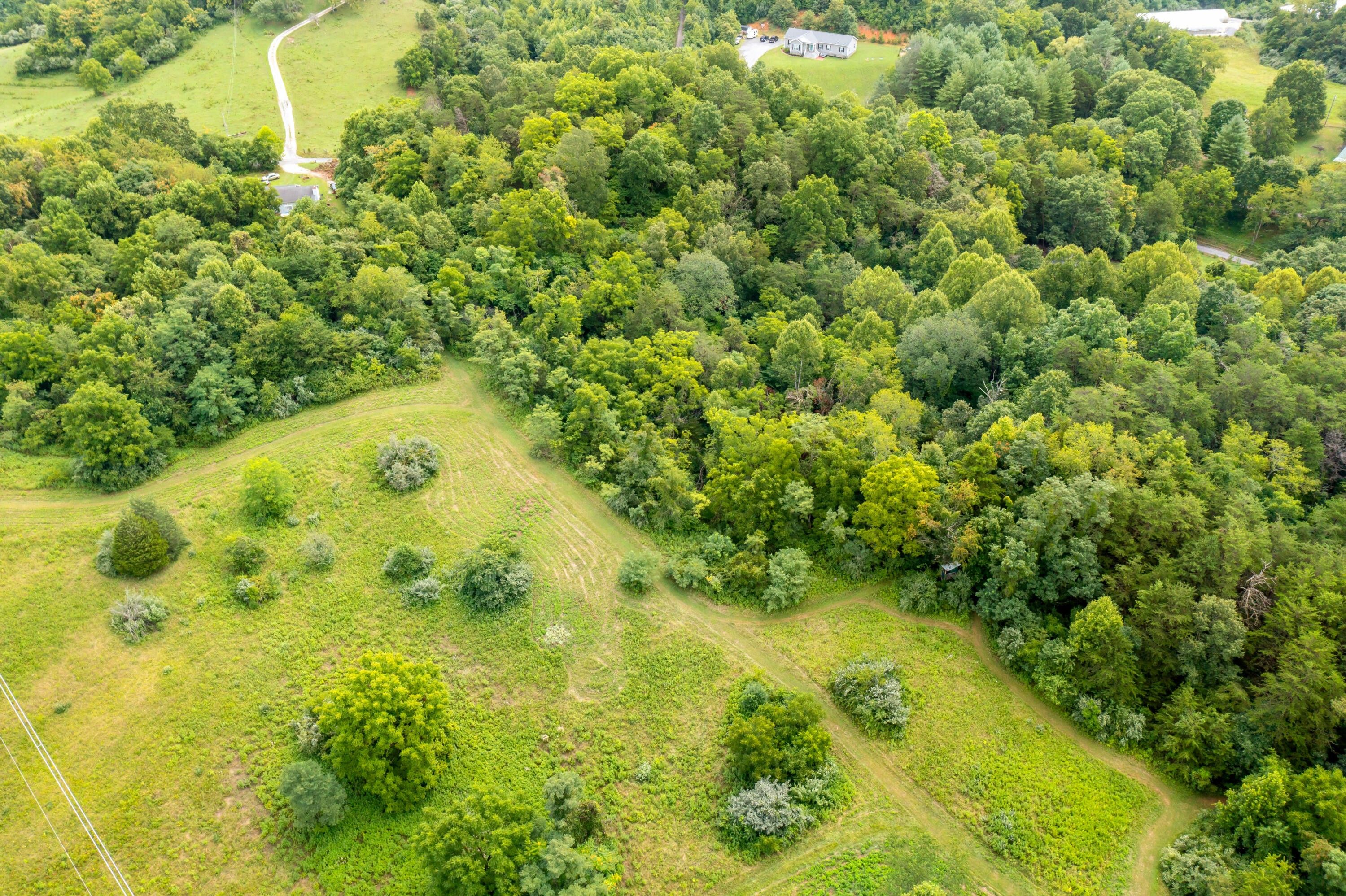 0 Trevey RD, Buchanan, VA 24066 | MLS: 909530 | LandWatch