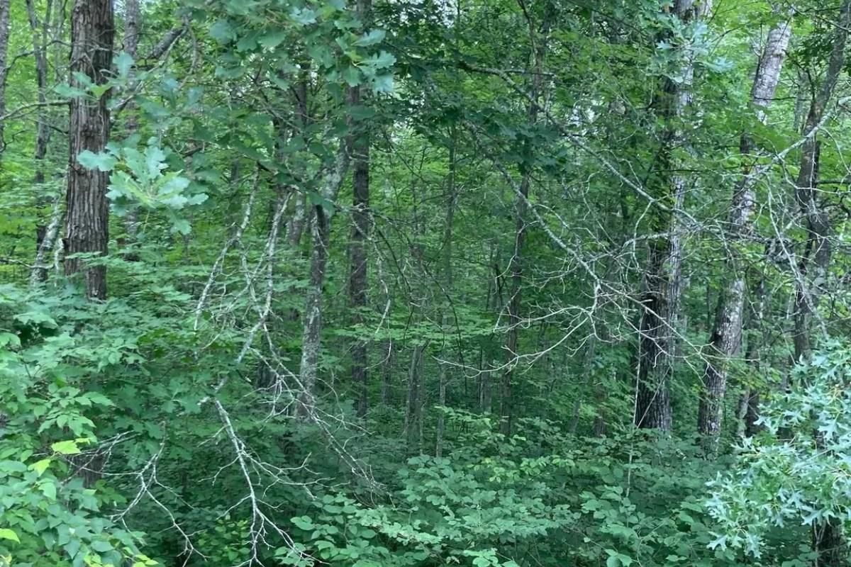 Partridge Pass, Garrison, MN 56450 | MLS: Mille Lacs 0.19 Acres, 09-969 ...